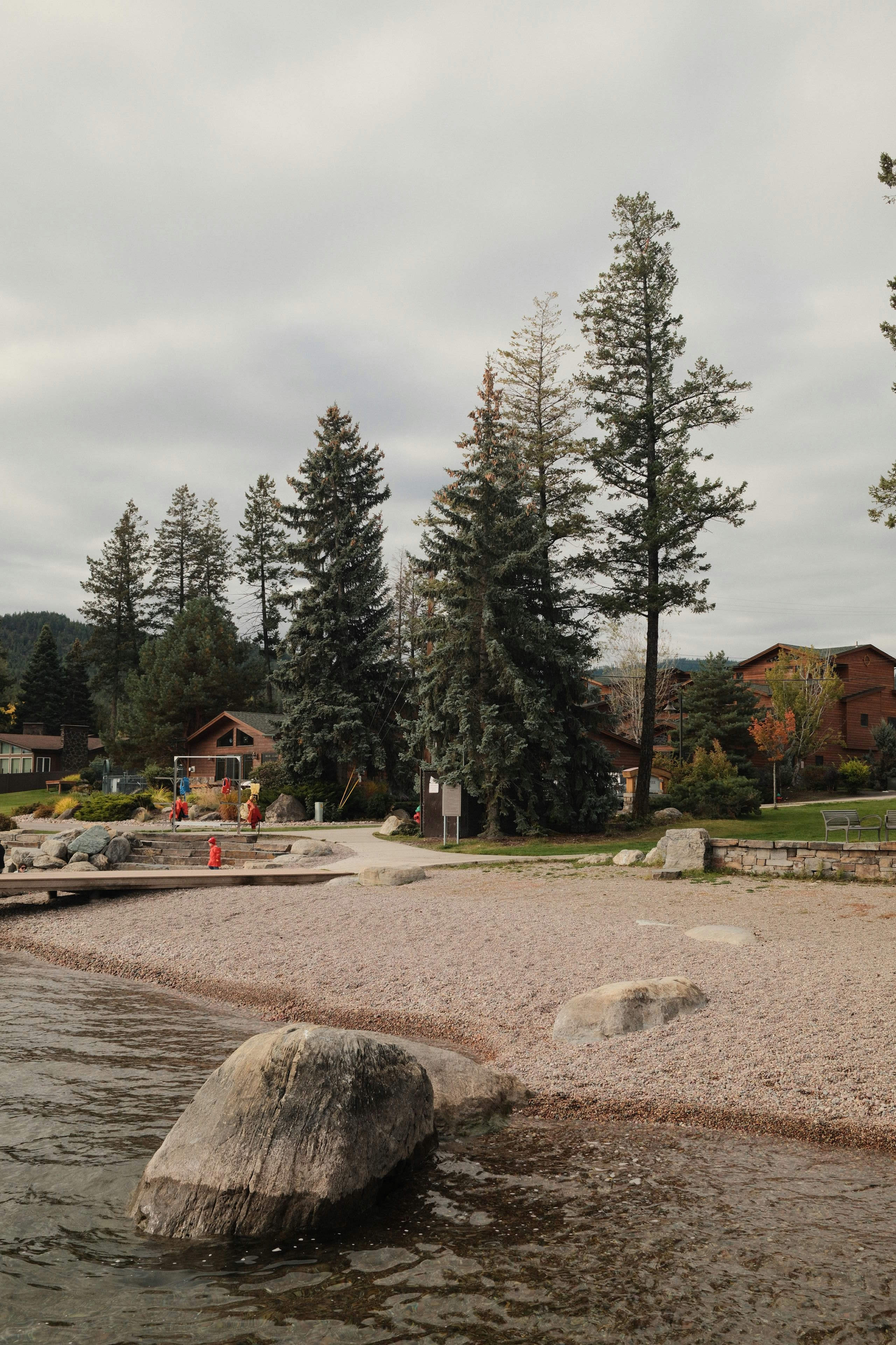Pines, Pebbles, and Quiet Water: A Lakeside Park Portrait