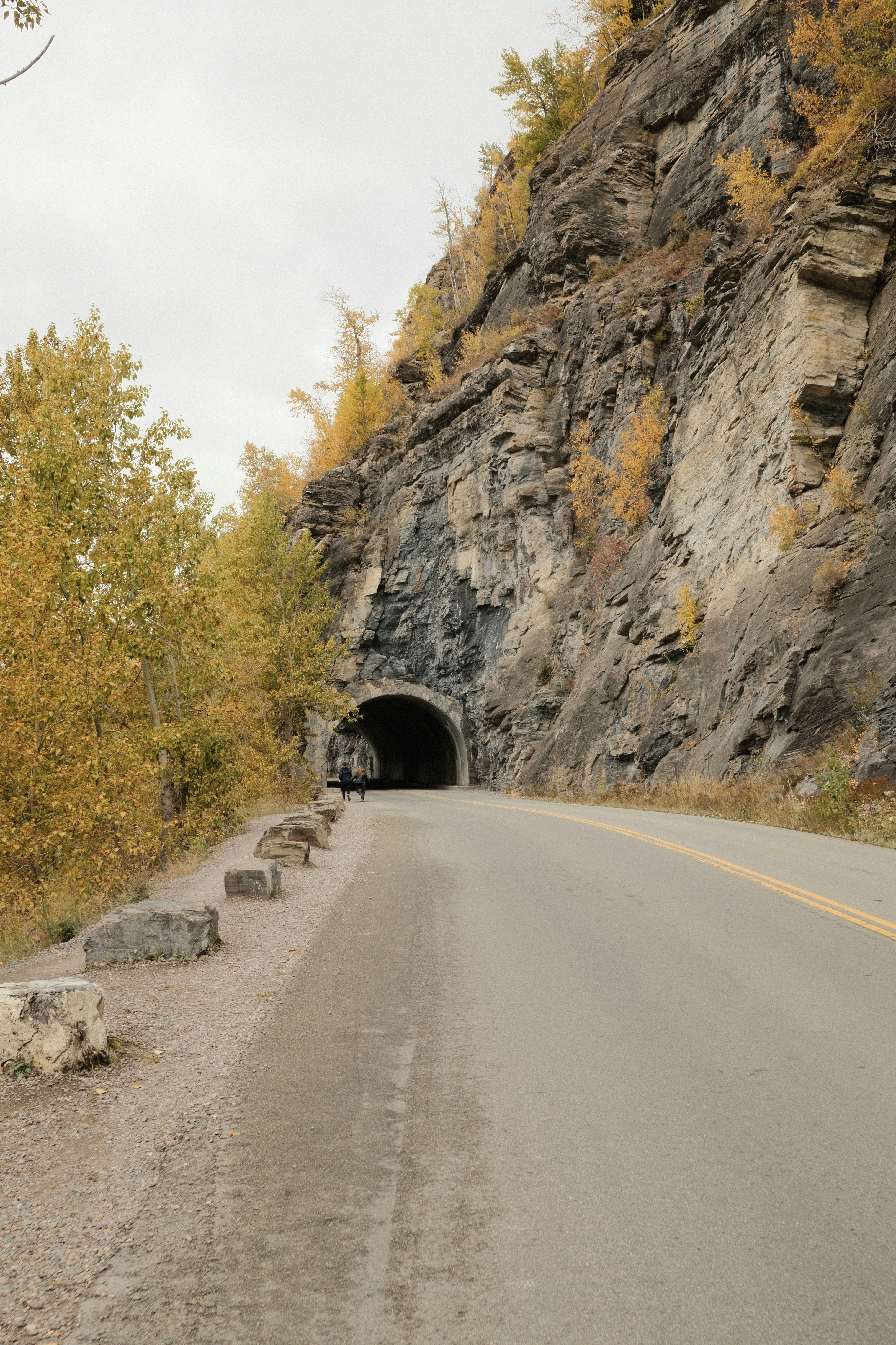 Amber Pass: Road to the Mountain Tunnel Framed by Autumn Pines