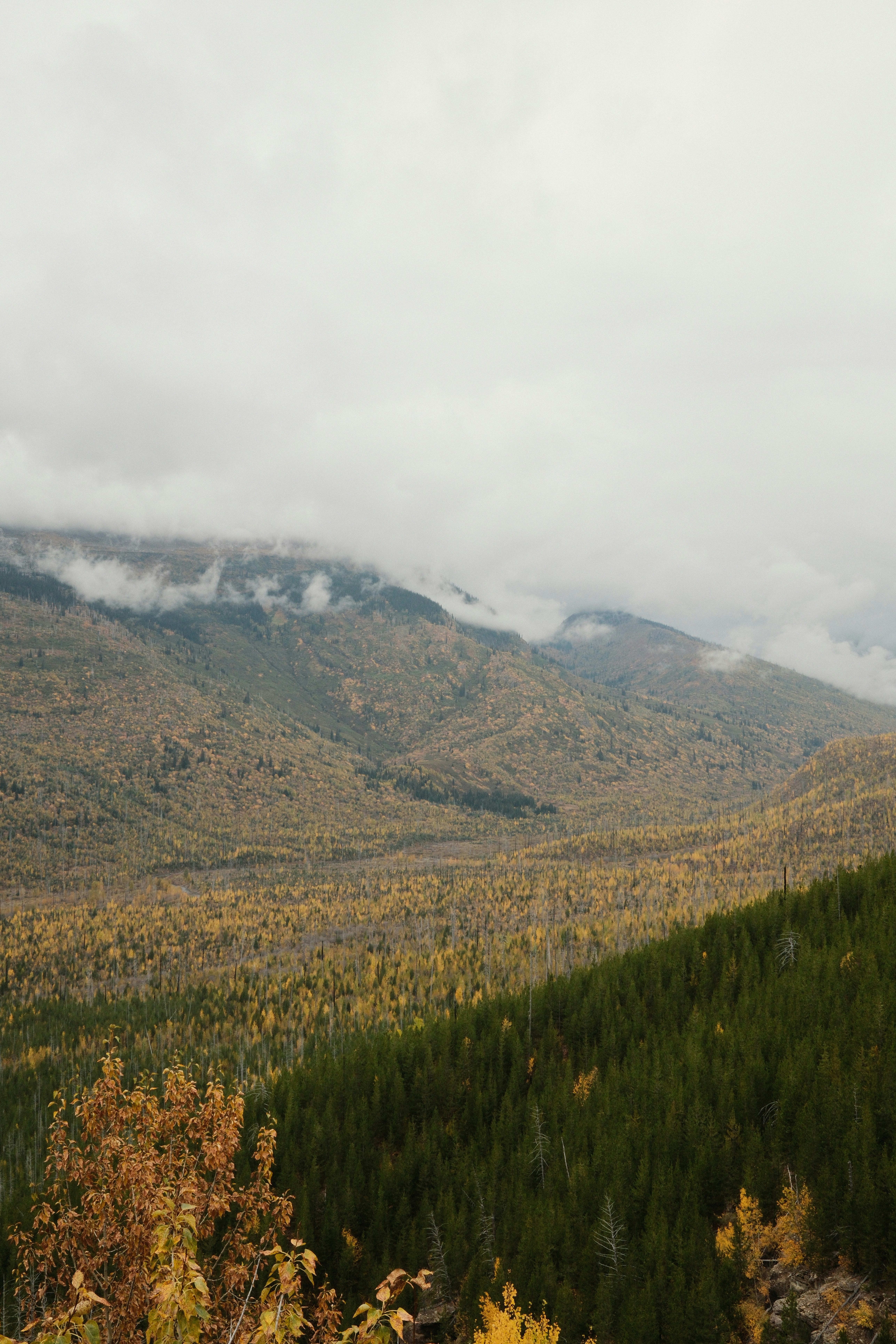 Whispers of Autumn in the Valley