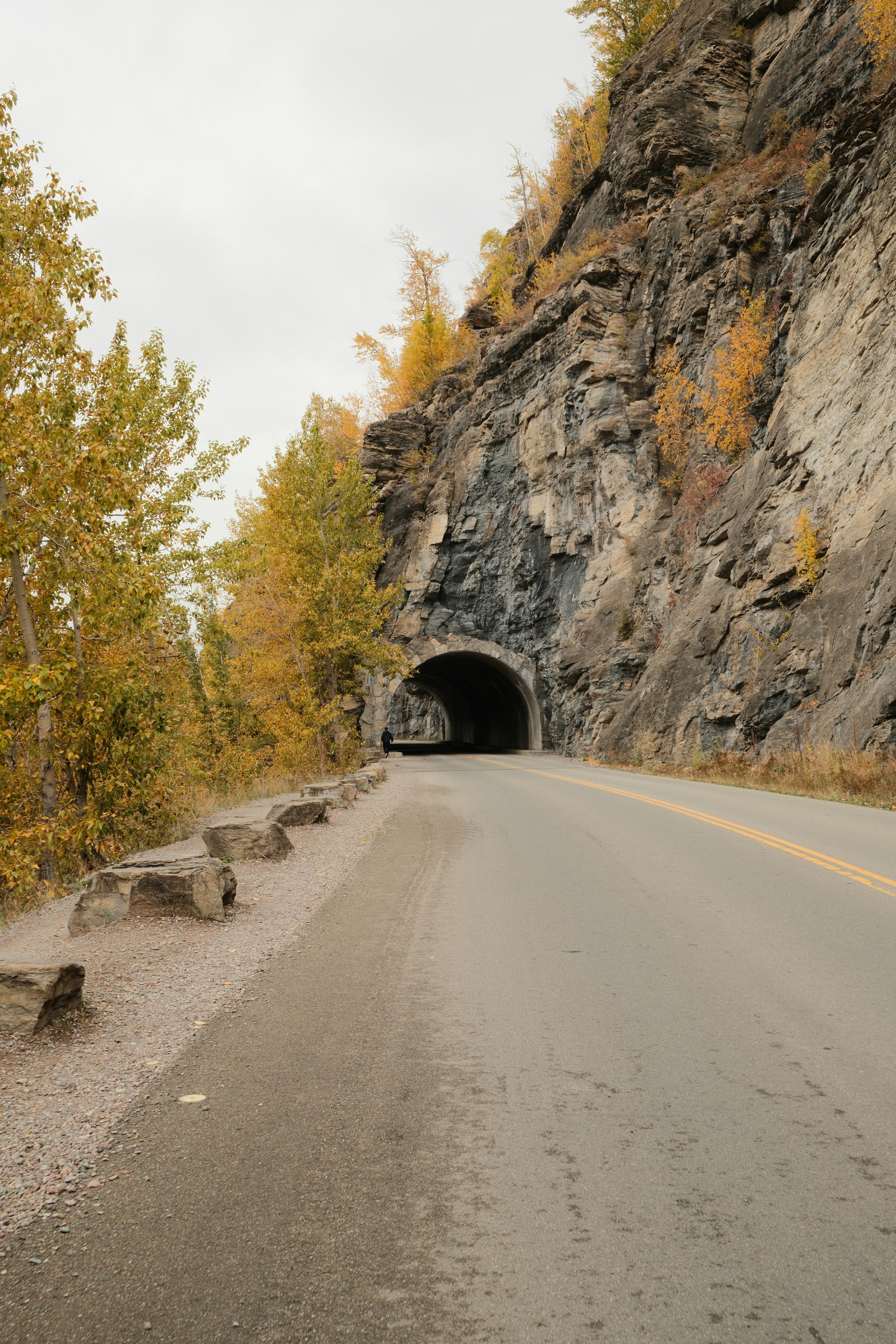 Gateway Through Stone: A Journey into Nature's Embrace