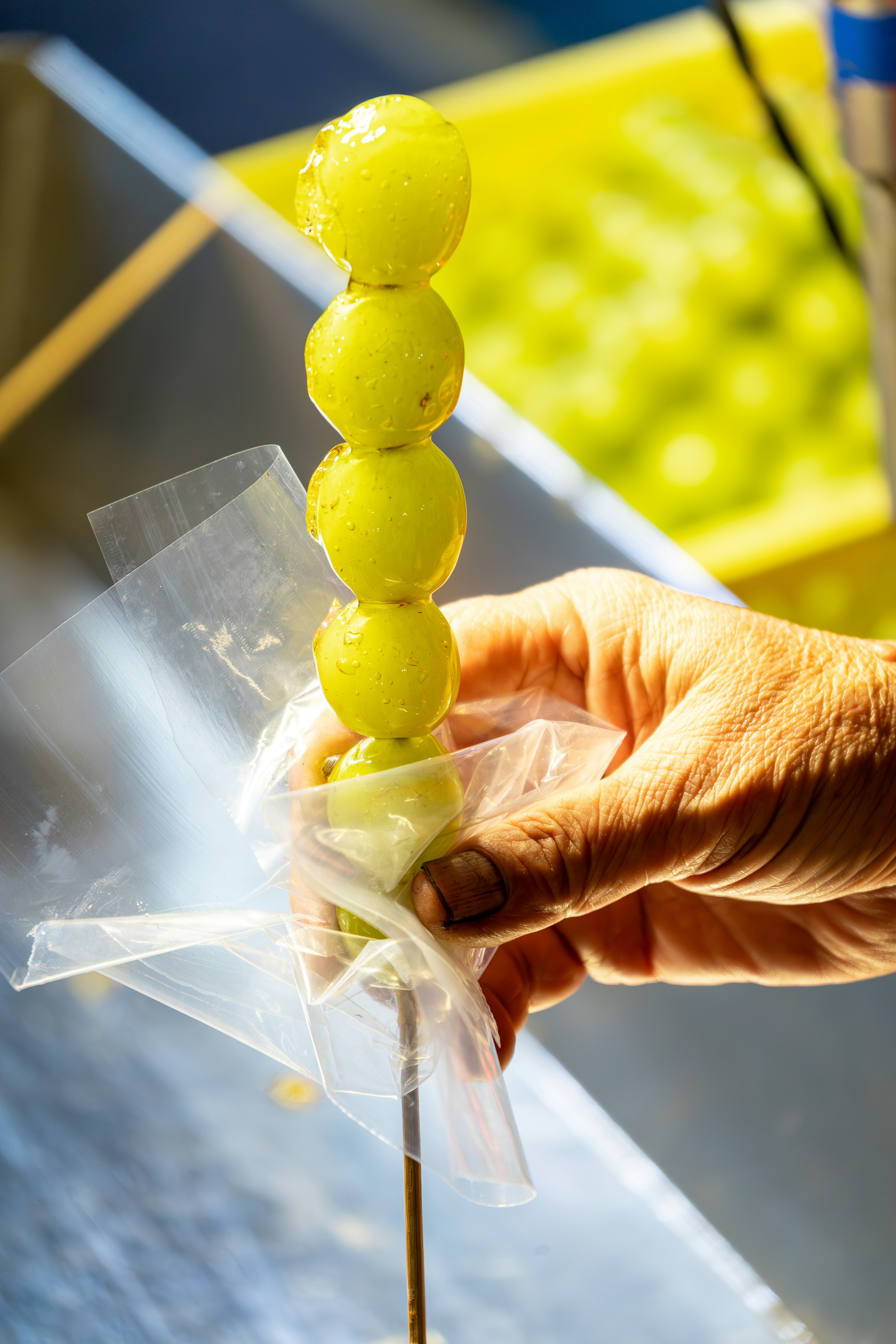Glistening Green Delights on a Stick