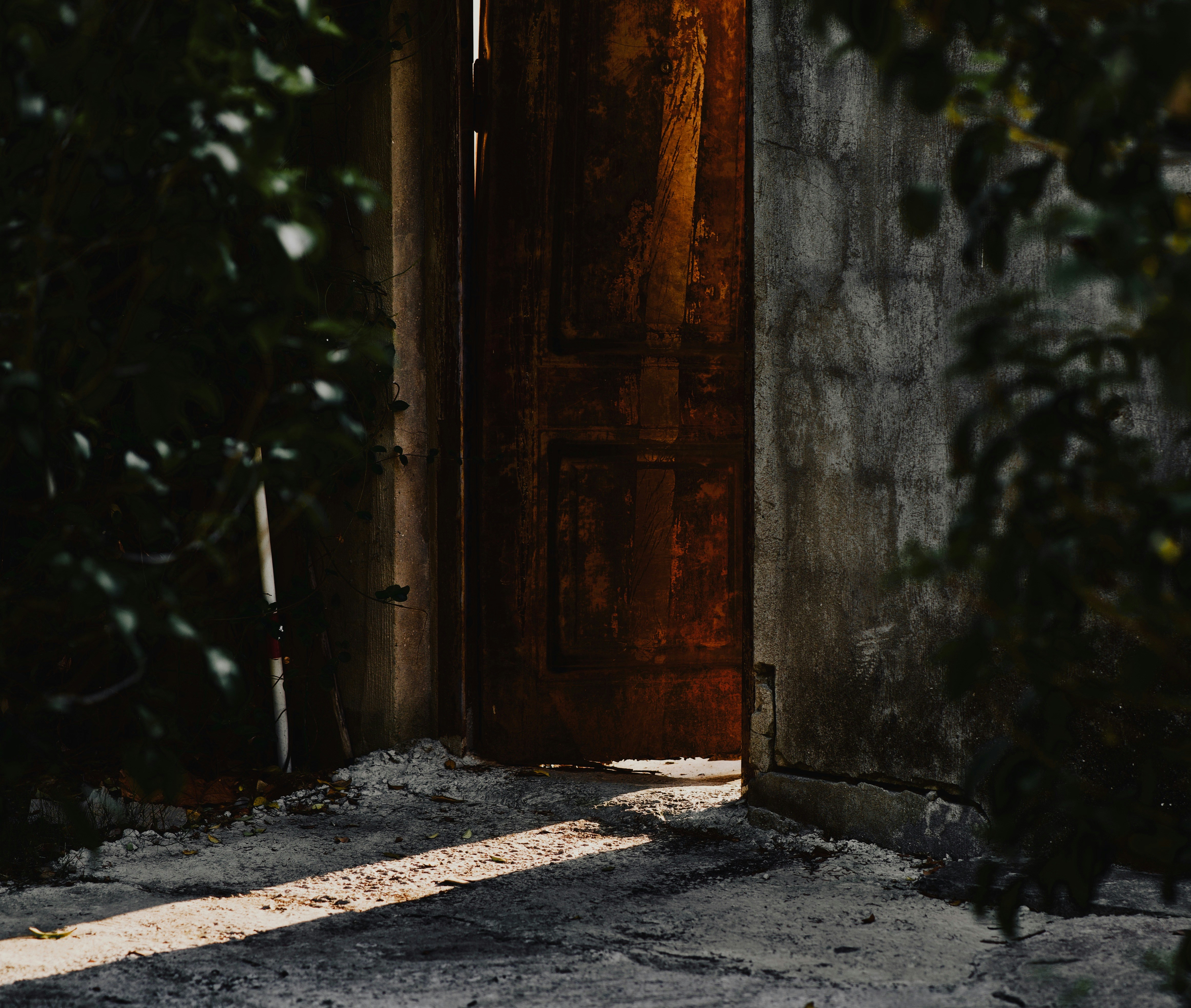 Whispers of the Forgotten: An Open Doorway