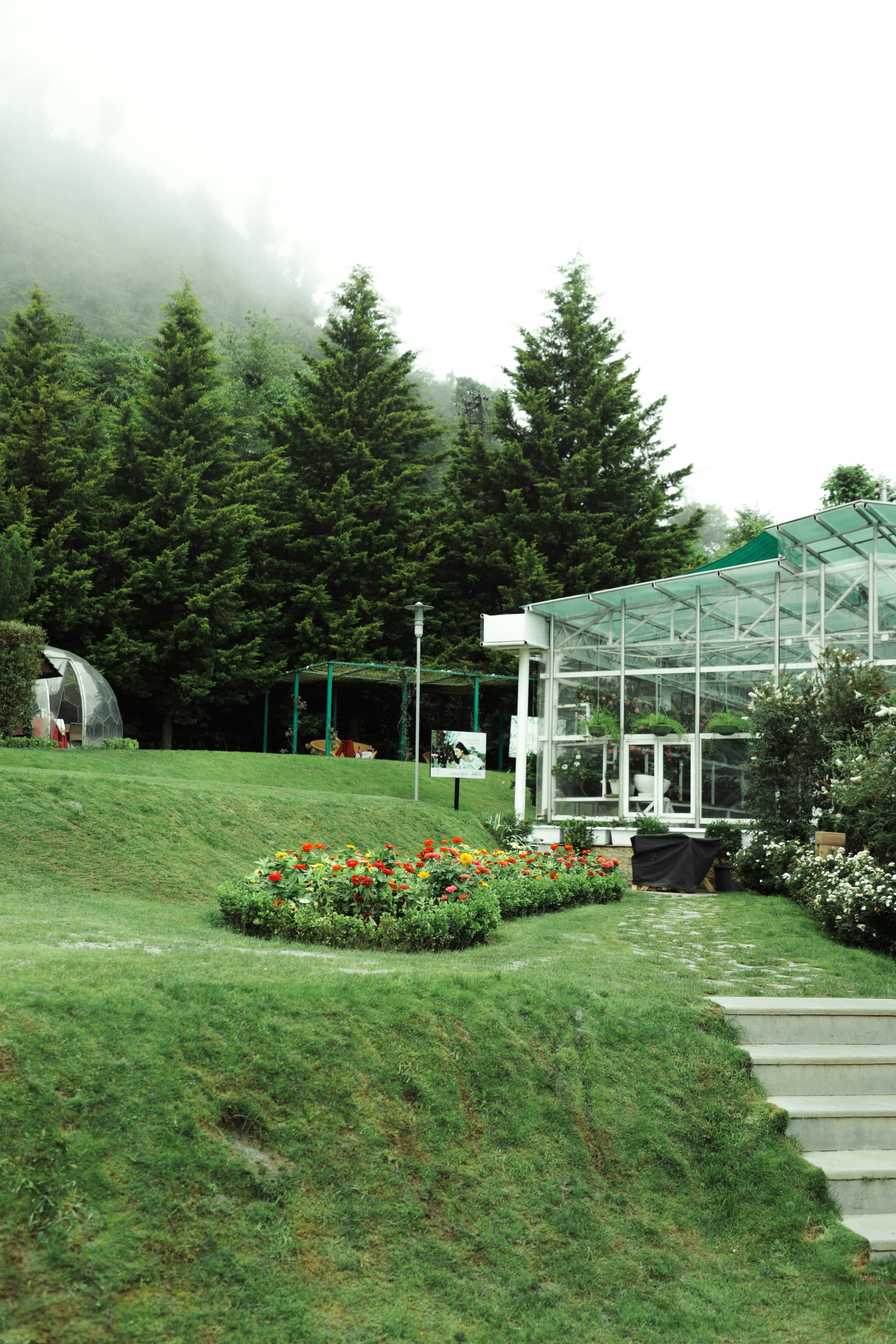 Serene Greenhouse Oasis Amidst Nature's Embrace