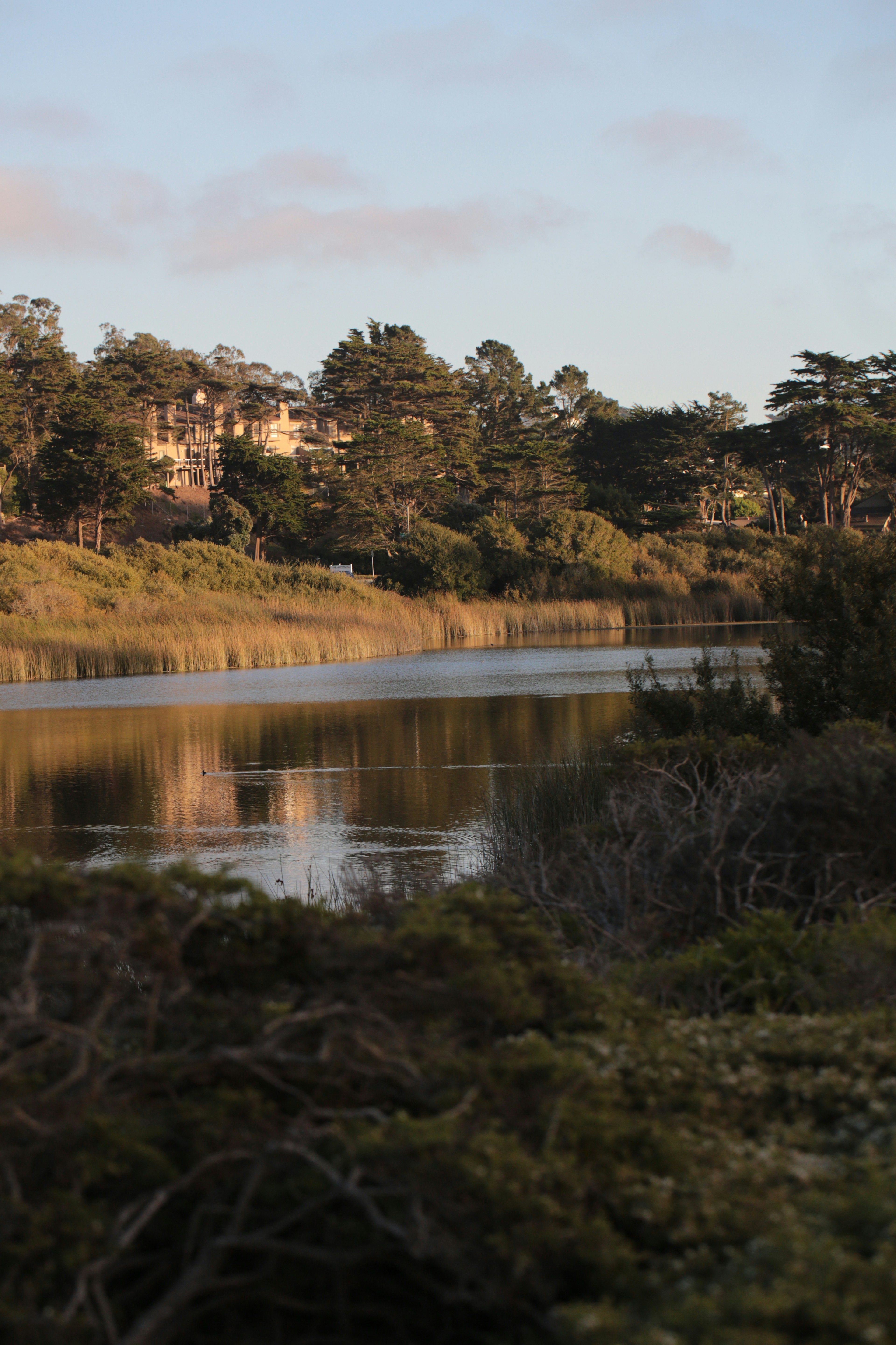 Calm waters reflecting the lush greenery along the shoreline, framed by distant trees and buildings. The tranquil scene captures the essence of nature's beauty.