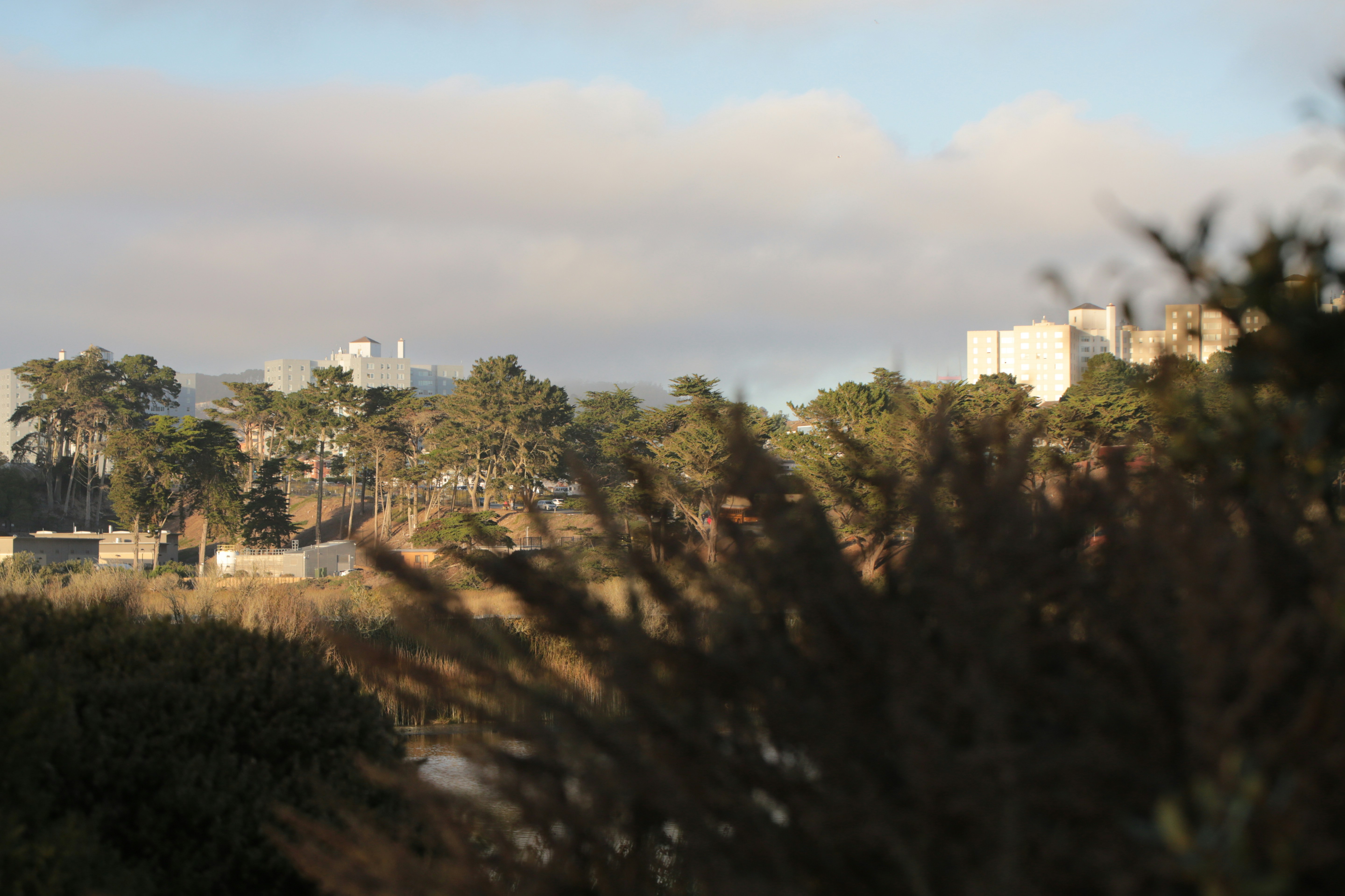 Buildings nestled among trees under cloudy sky.
