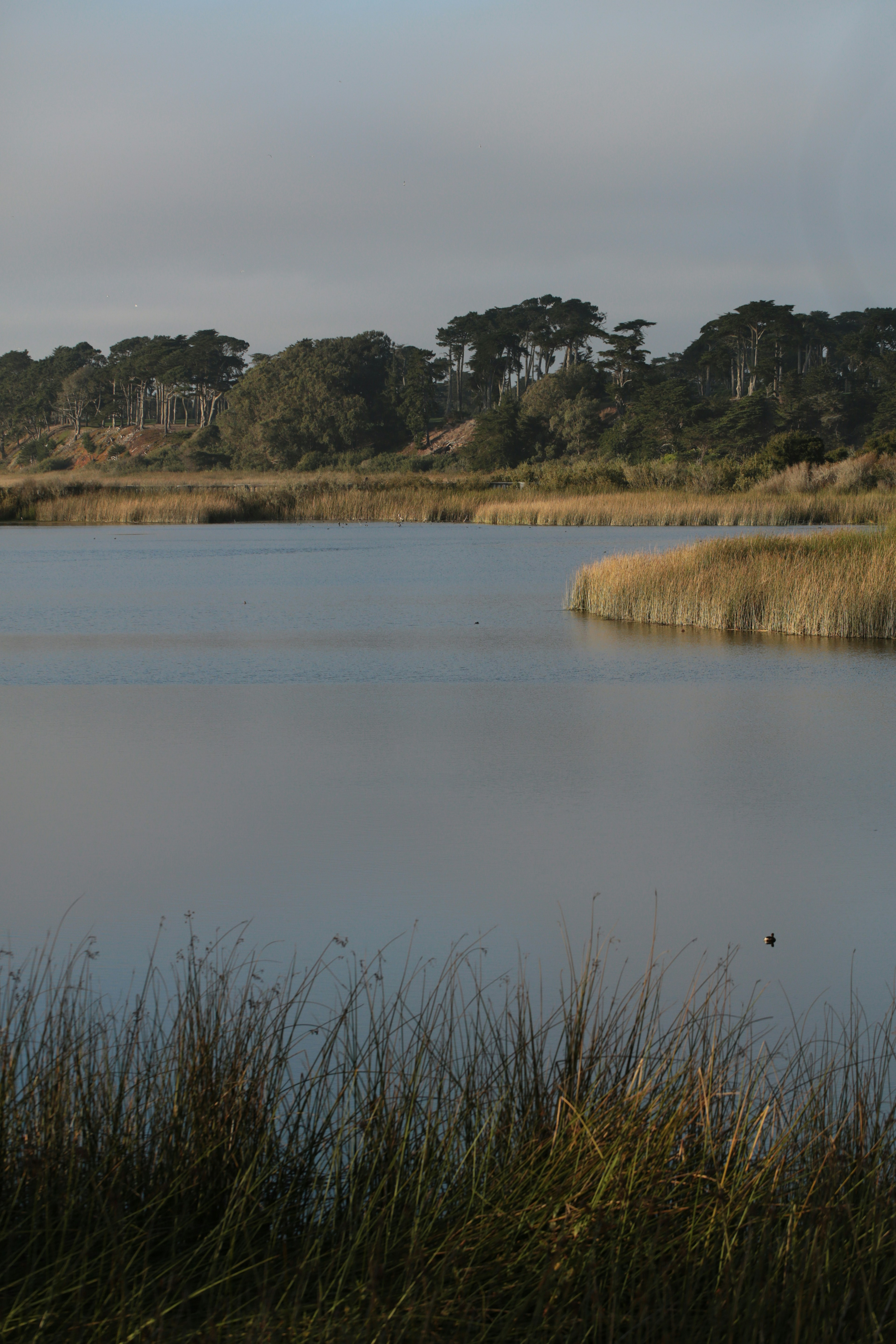 Serenity by the Water's Edge