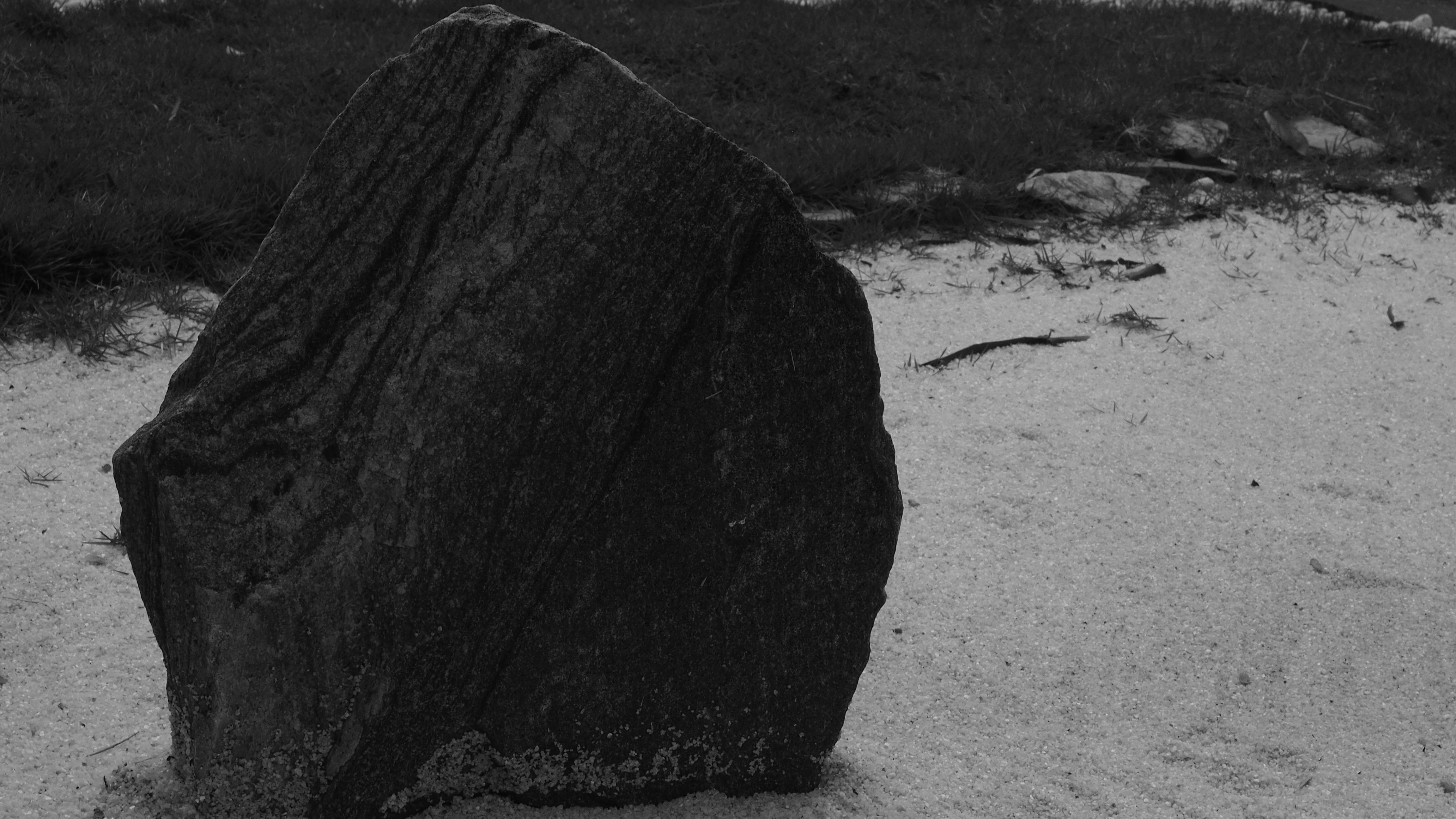 A large, textured rock stands prominently on a sandy surface, surrounded by sparse vegetation. The monochromatic tones emphasize the rock's rugged features.