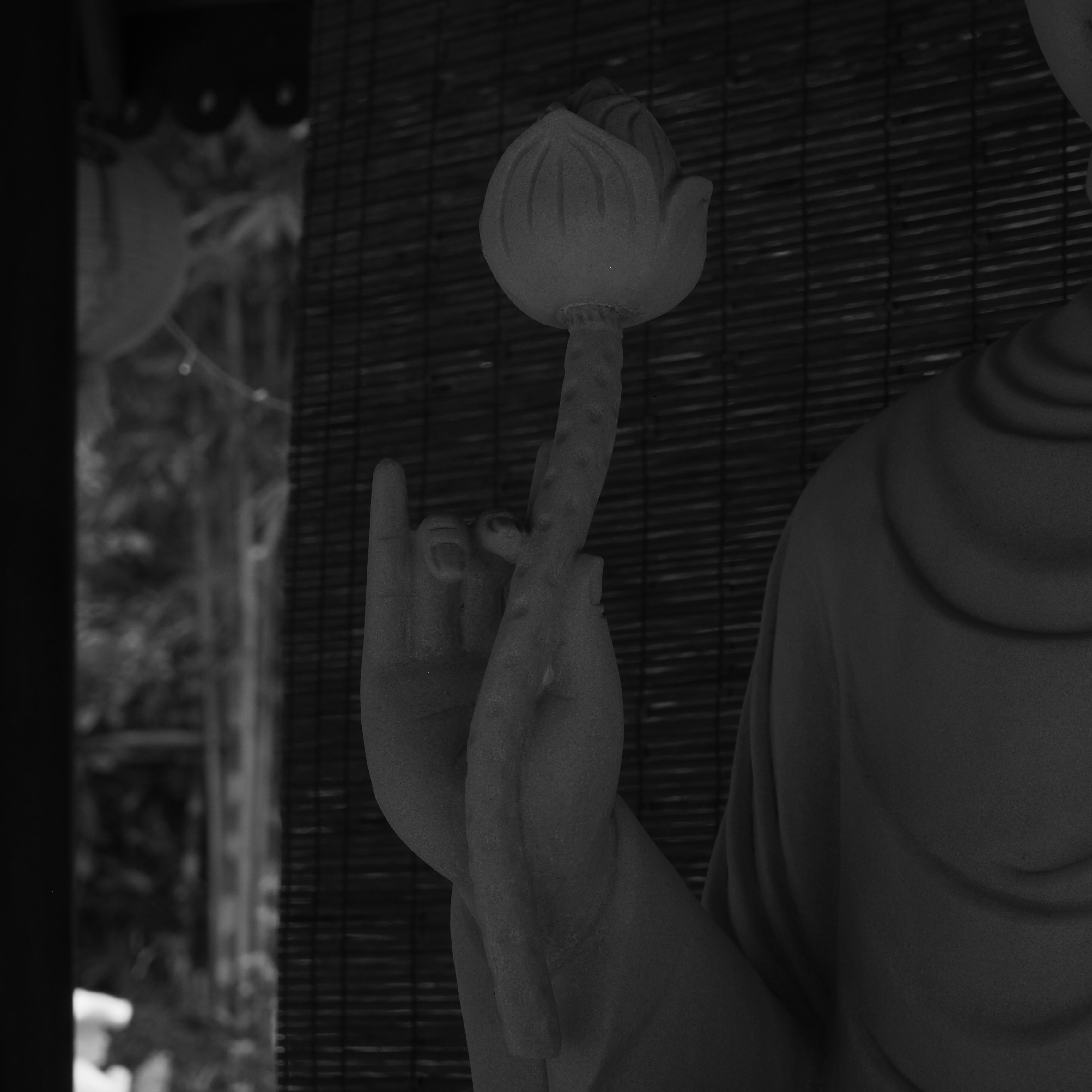 Serenity in Stone: The Lotus Offering