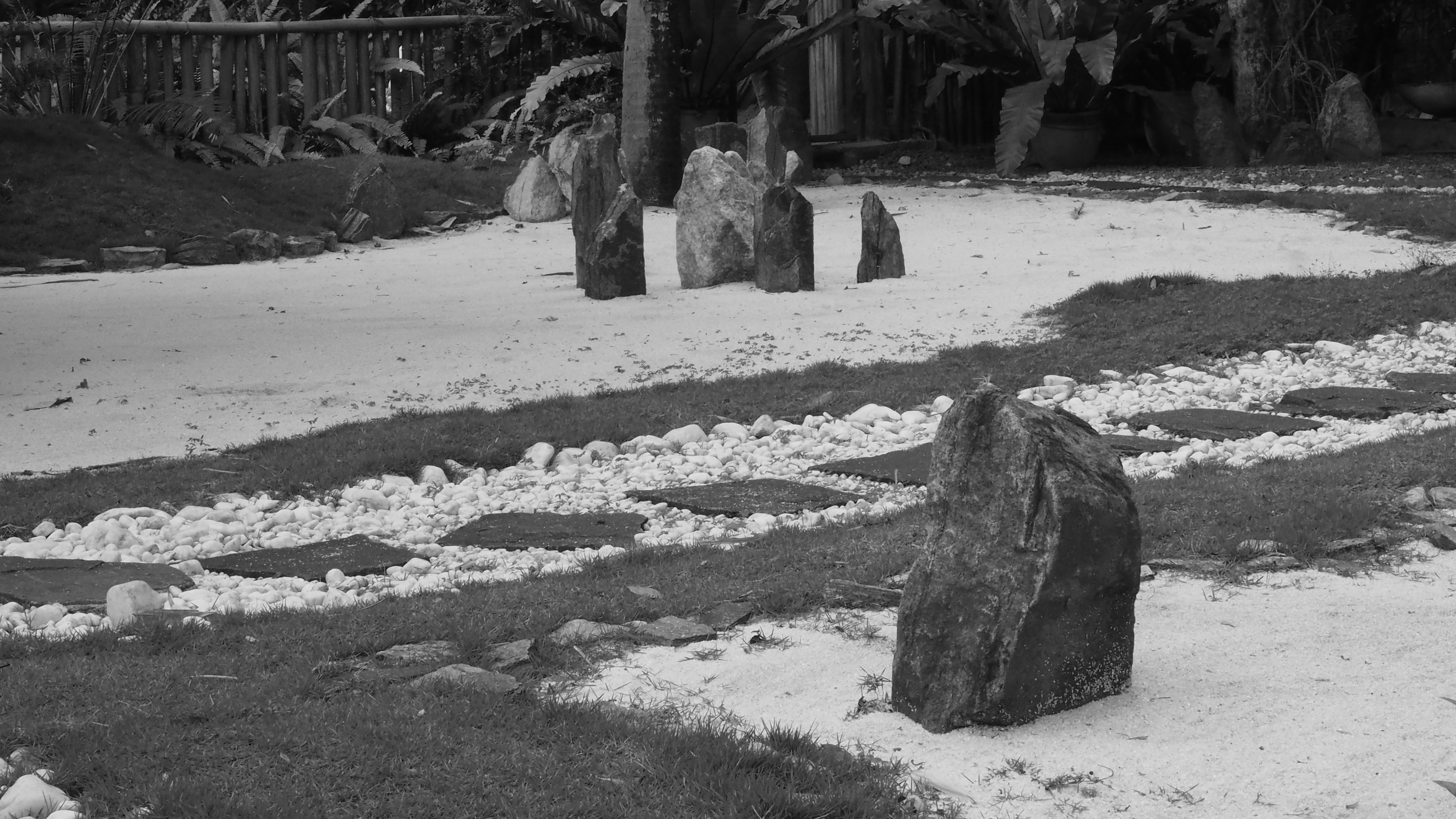 Echoes of Serenity: A Monochrome Garden