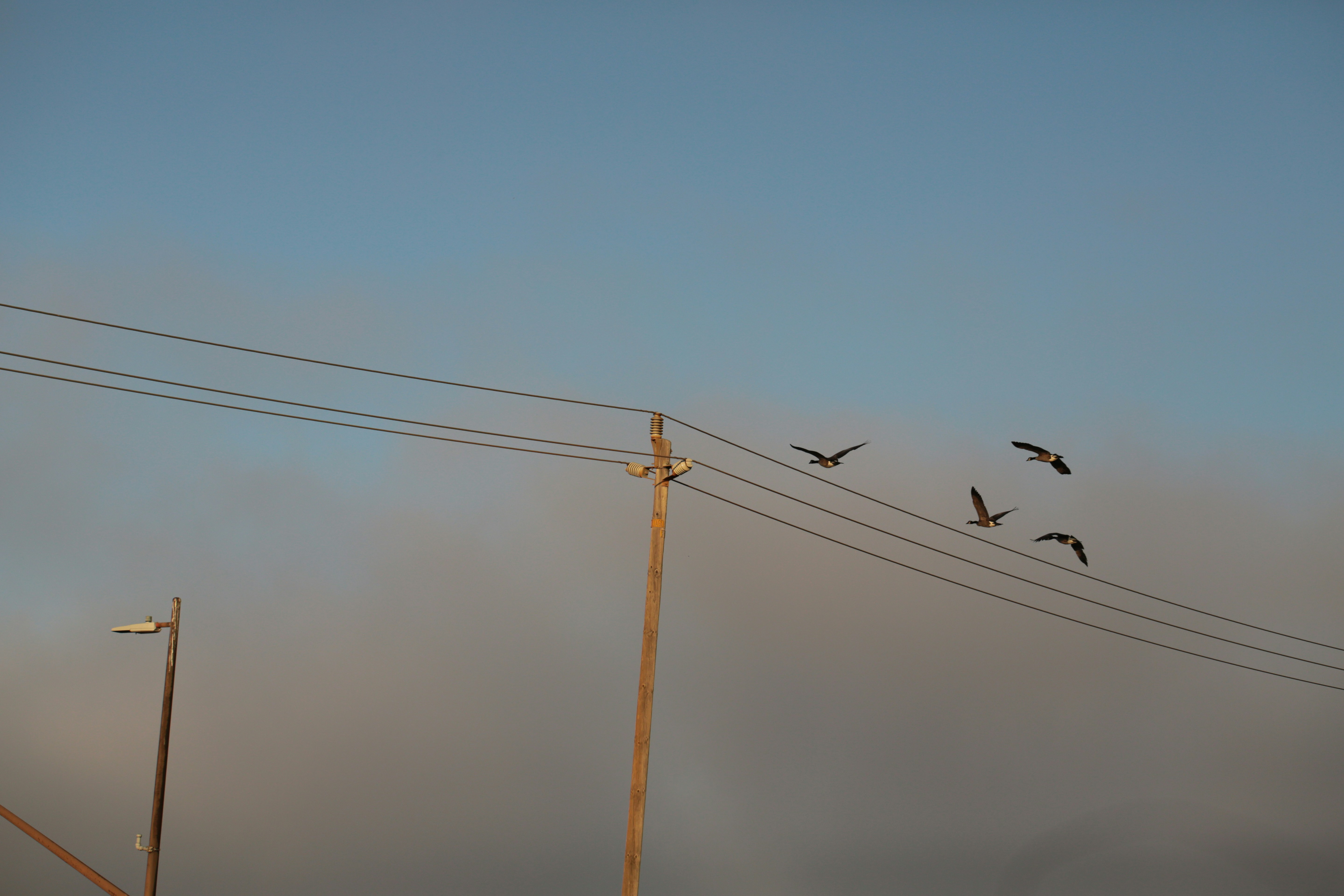 Photo by Sean Thoman with Canon EOS 5D Mark III