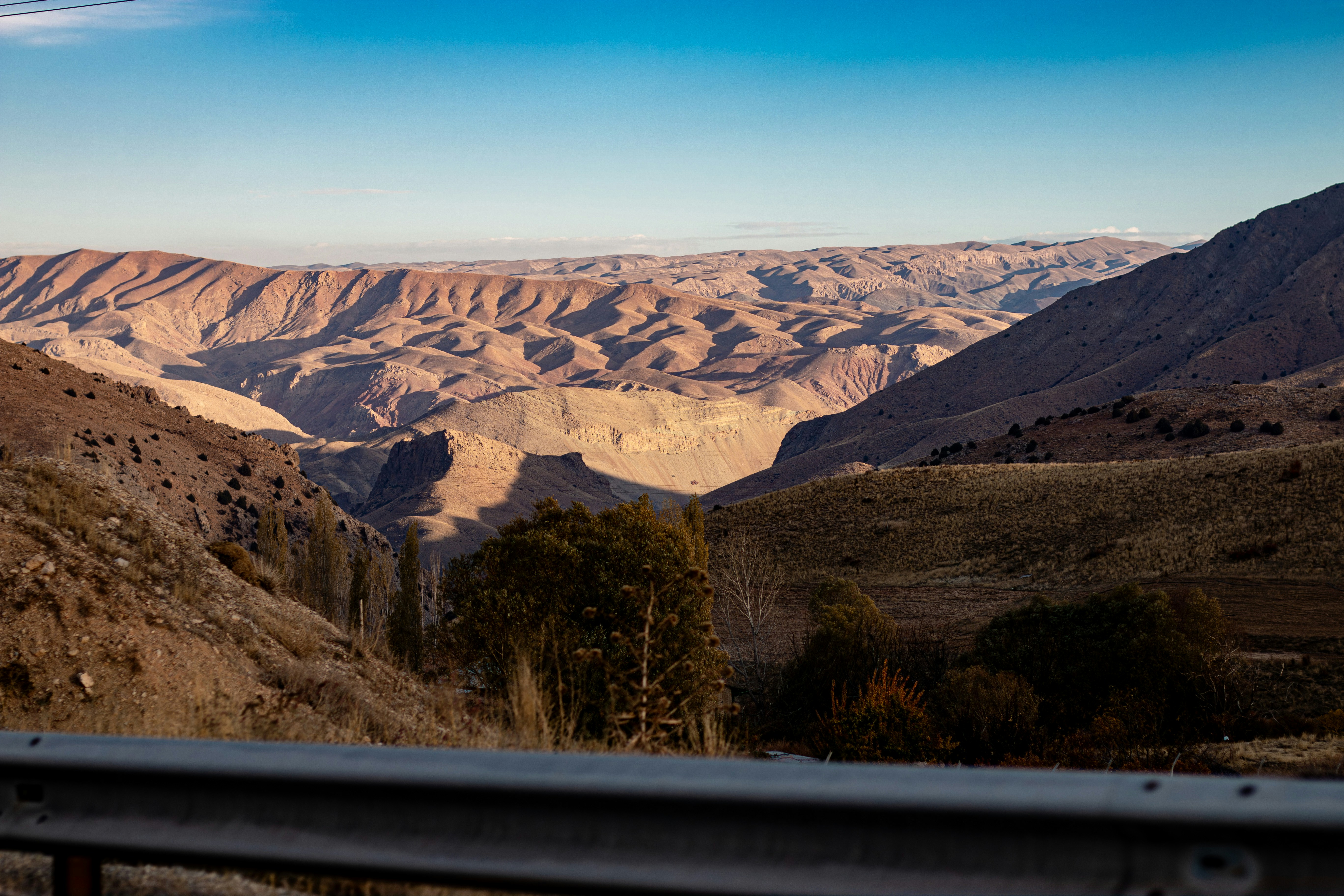 Whispers of the Arid Landscape