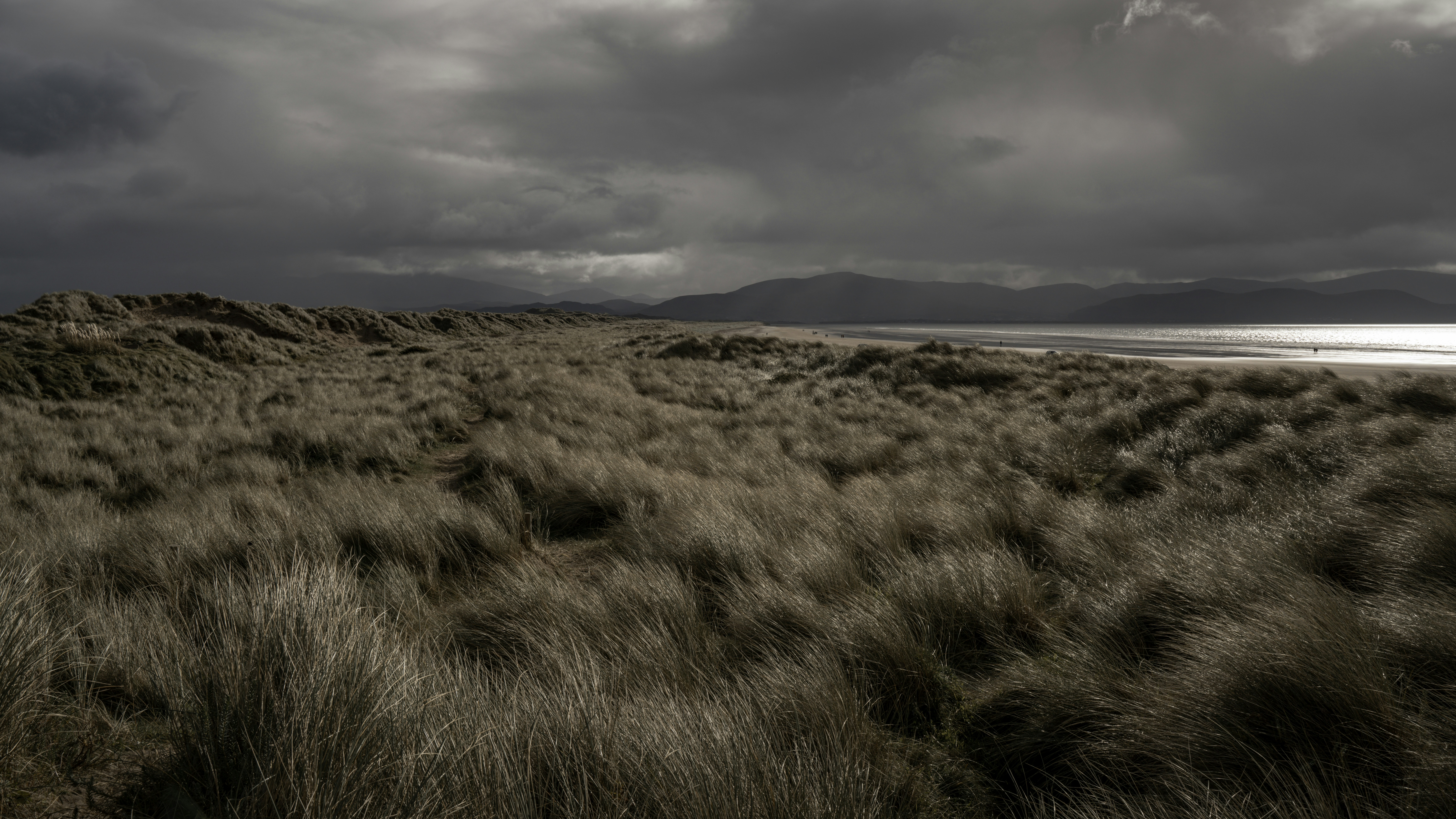 Wind-swept grasses stretch across a moody coastal landscape under a brooding sky. The scene evokes a sense of solitude and nature's raw beauty.