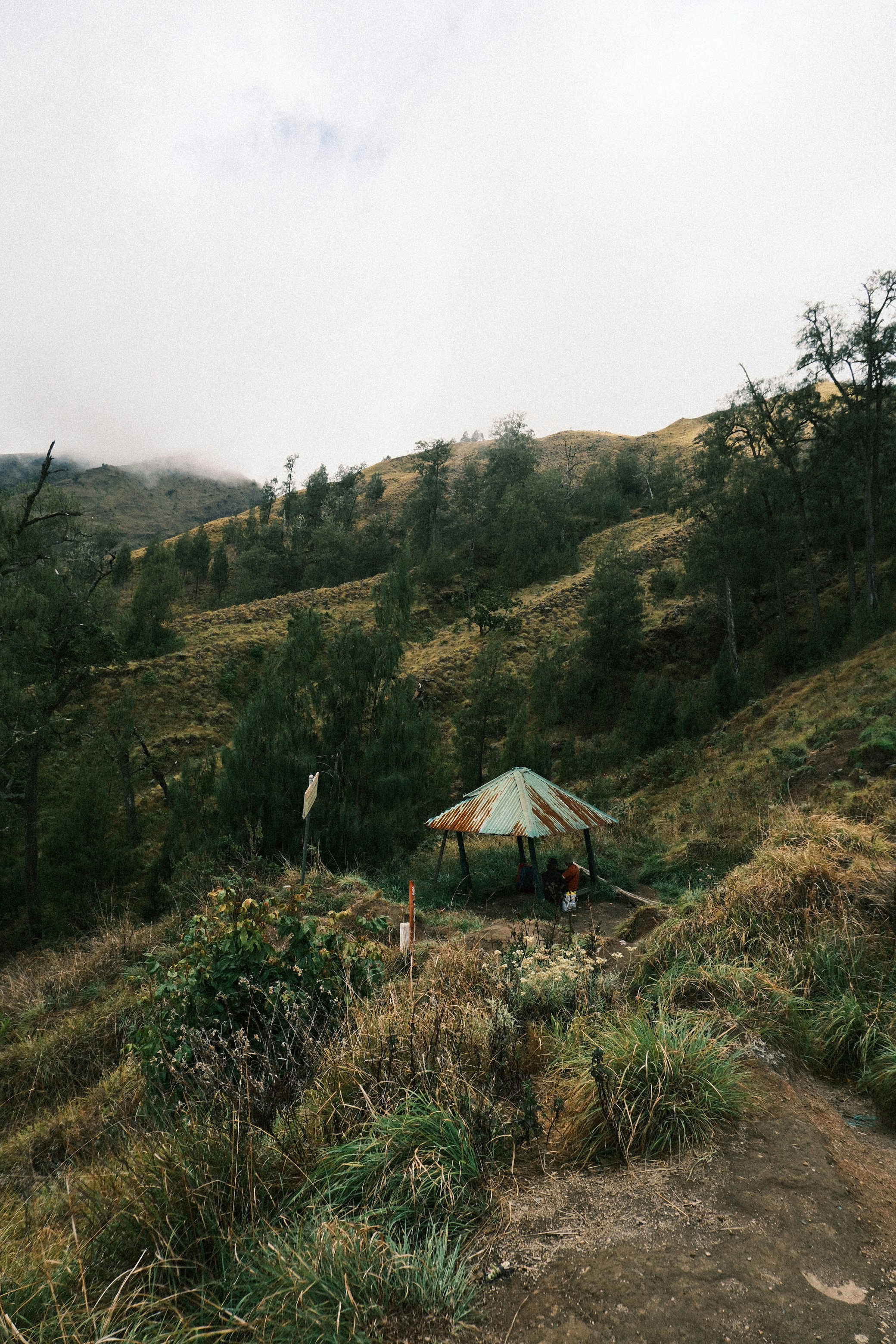 Small hut in jungle on Lombok