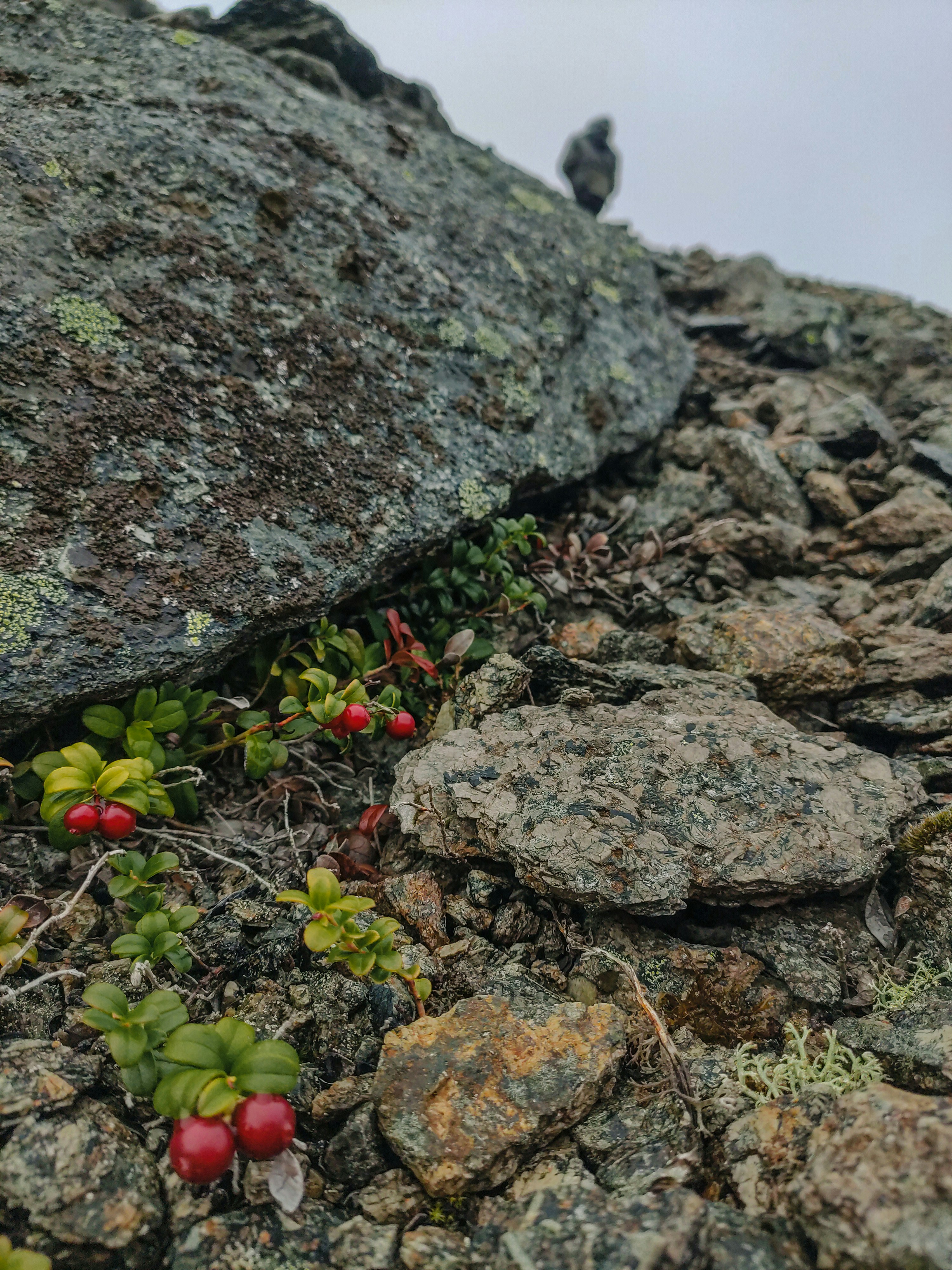 Photo by Hanna Lazar with Xiaomi Mi 9T