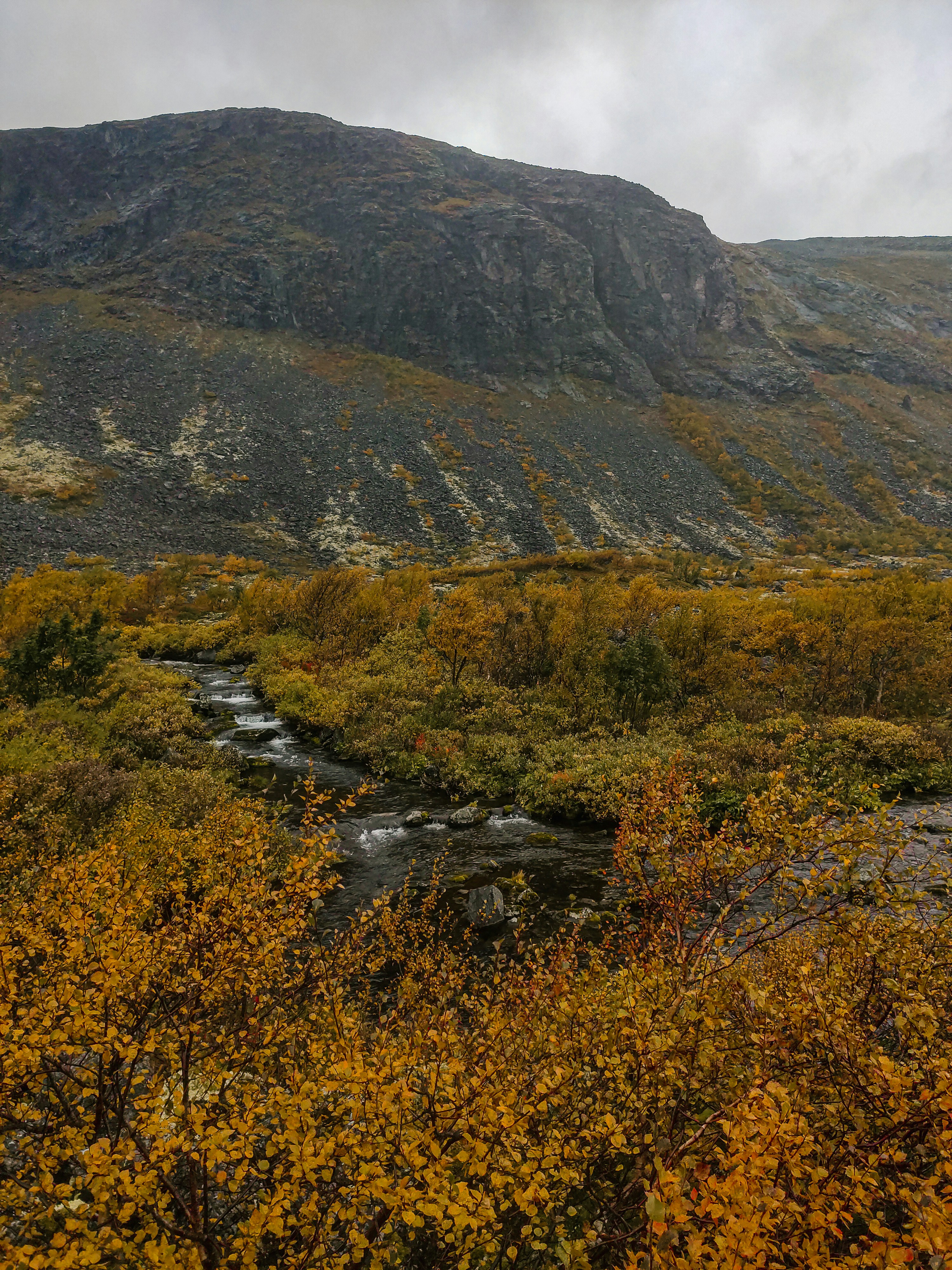 Vibrant autumn foliage surrounds a winding river, framed by a majestic mountain backdrop under a cloudy sky.