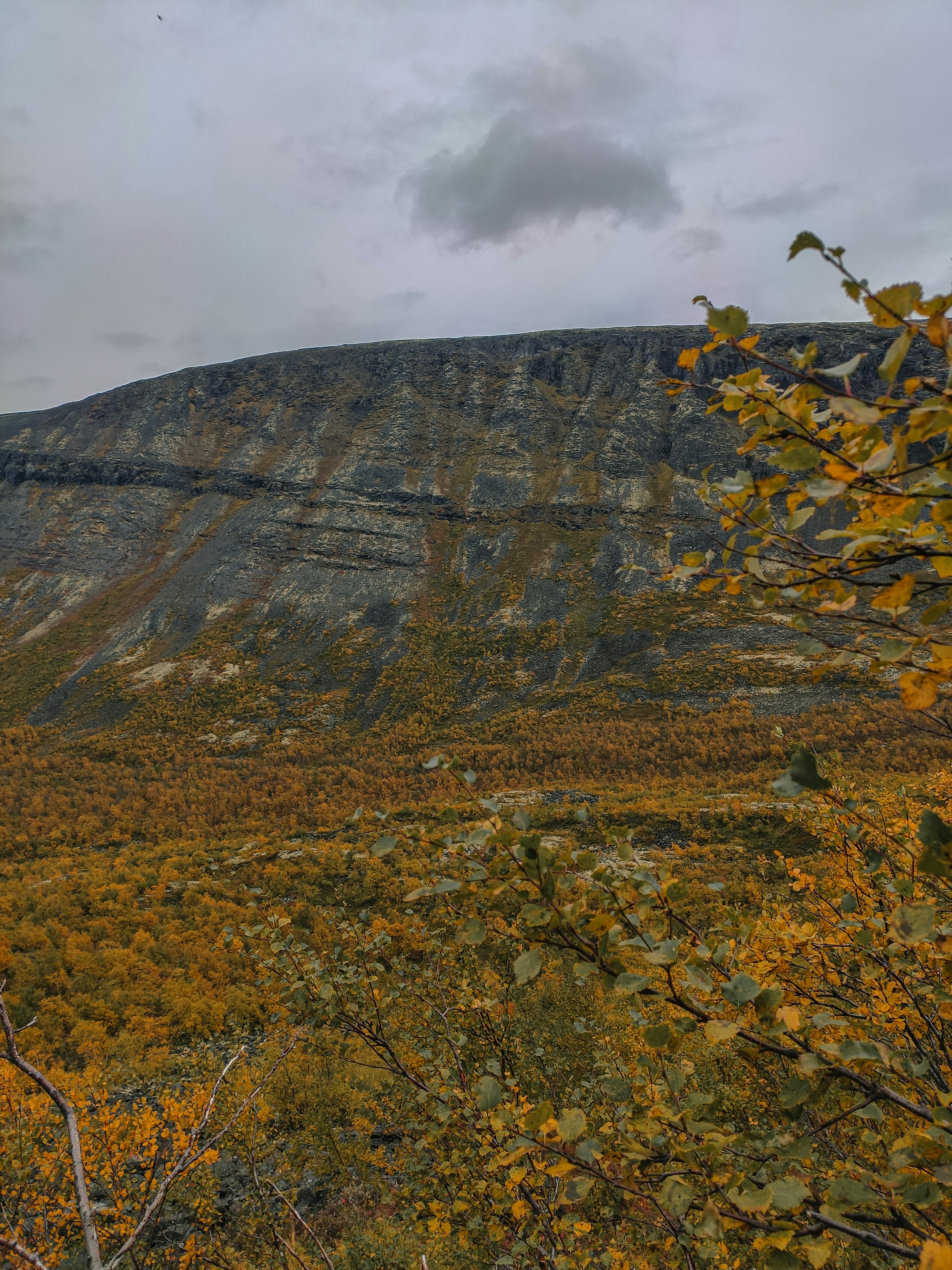 Ridge of Gold and Granite Beneath a Moody Sky