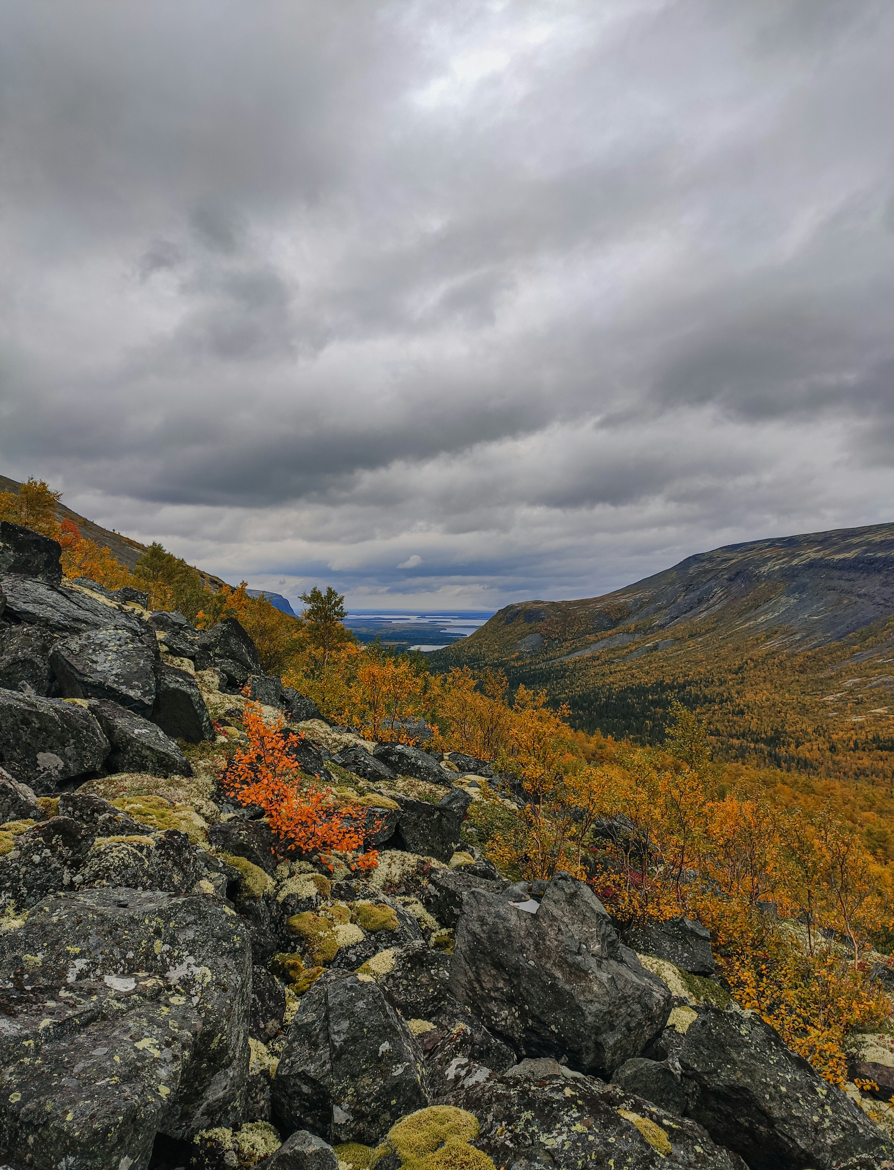 Photo by Hanna Lazar with Xiaomi Mi 9T