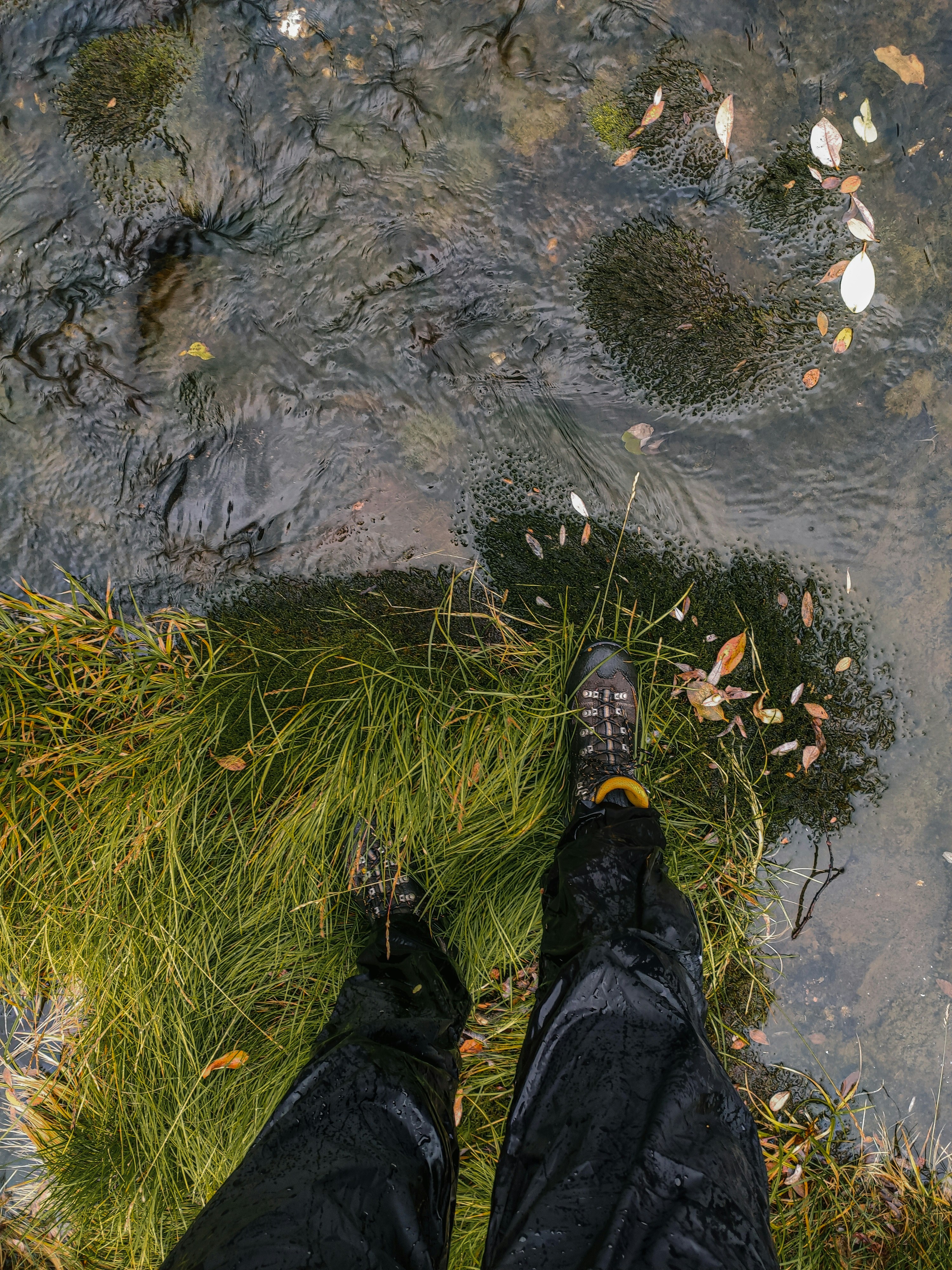 Feet standing on lush grass beside a flowing stream, with fallen leaves scattered around. The scene captures a moment of tranquility in a natural setting.