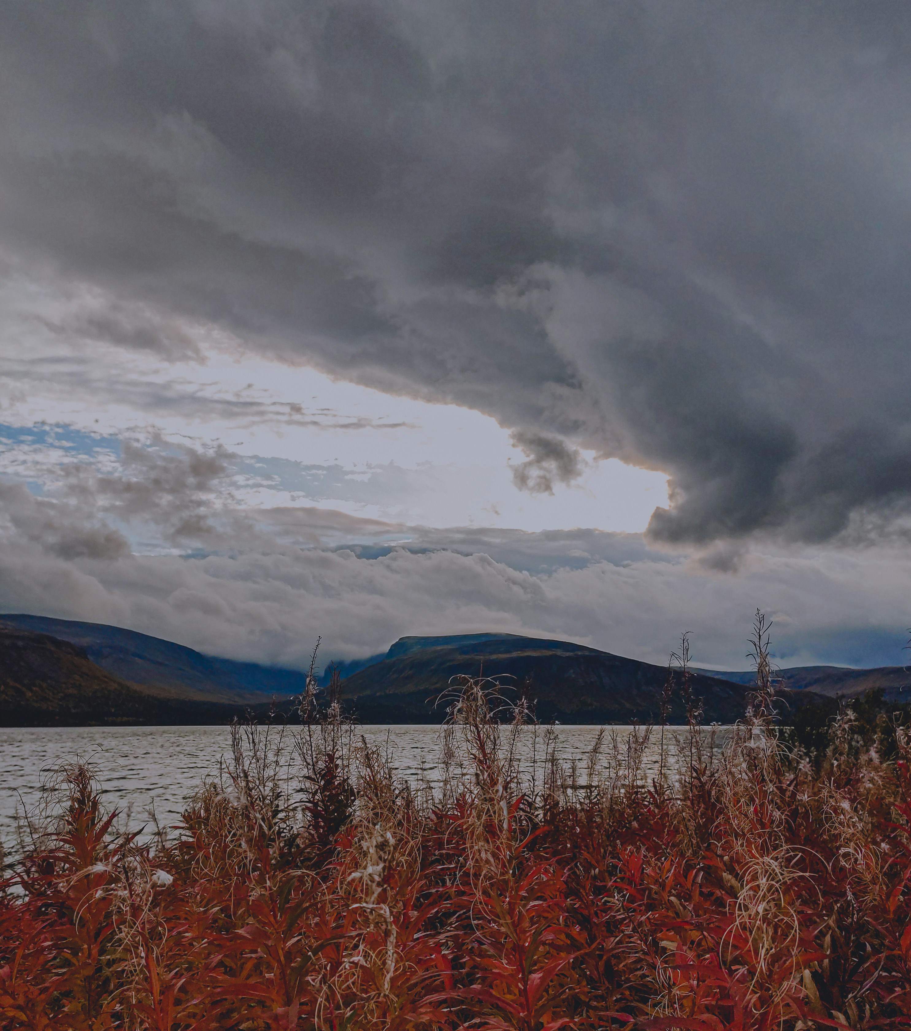 Whispers of Autumn by the Water's Edge