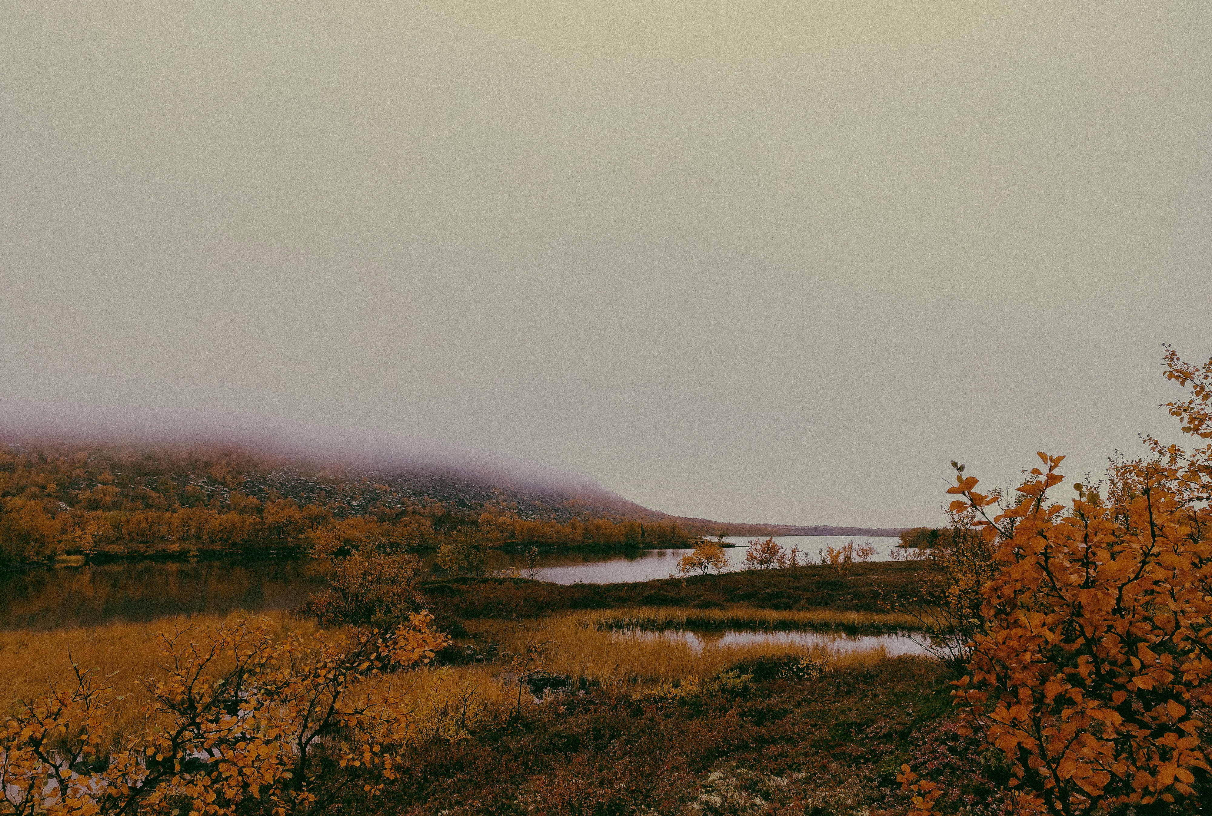 Fog envelops a serene autumn landscape, with golden foliage framing a tranquil river and distant hills. The muted colors evoke a sense of calm and introspection.
