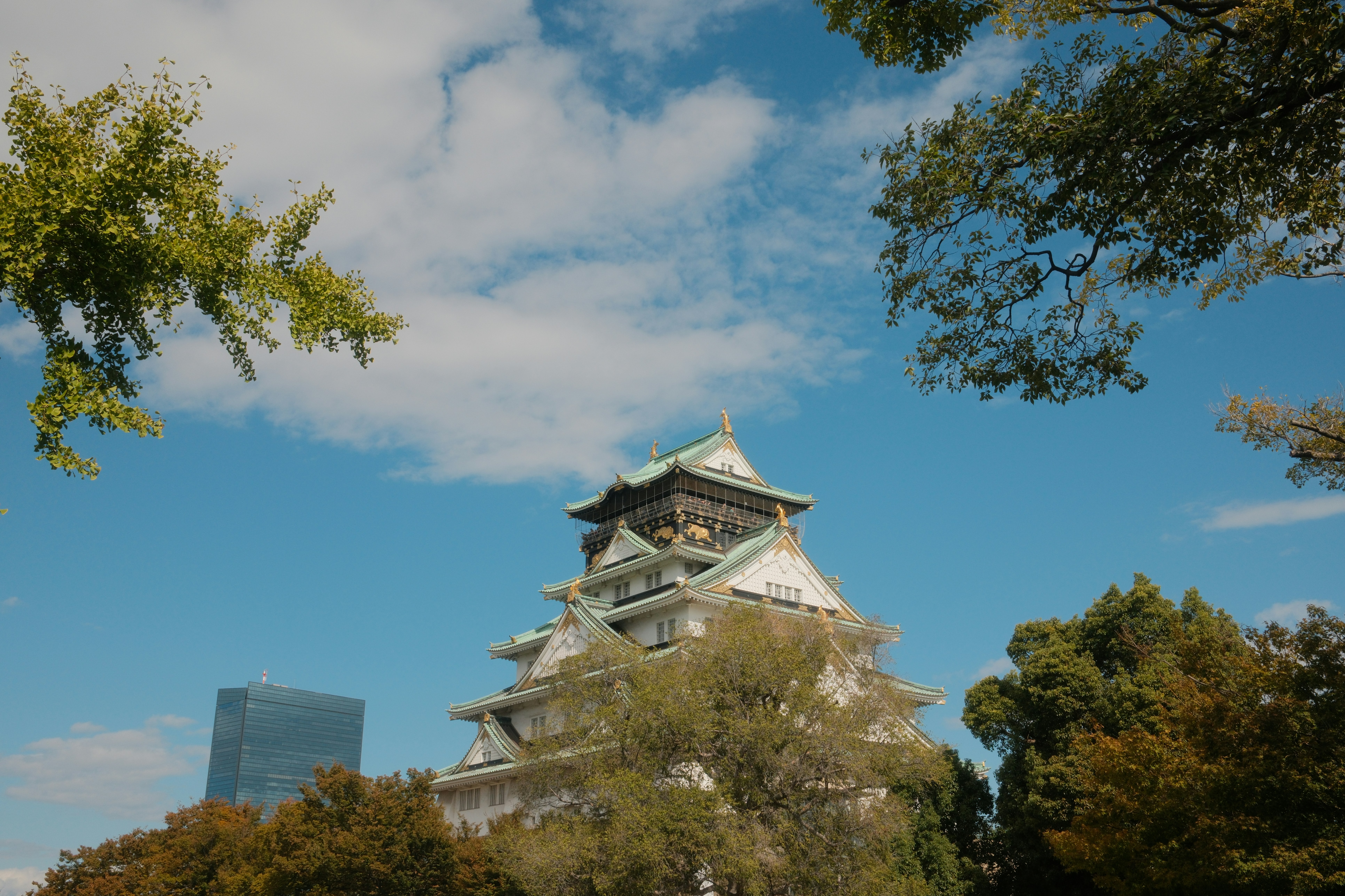 Autumn Light on Osaka Castle: A Stone Sentinel Framed by Trees