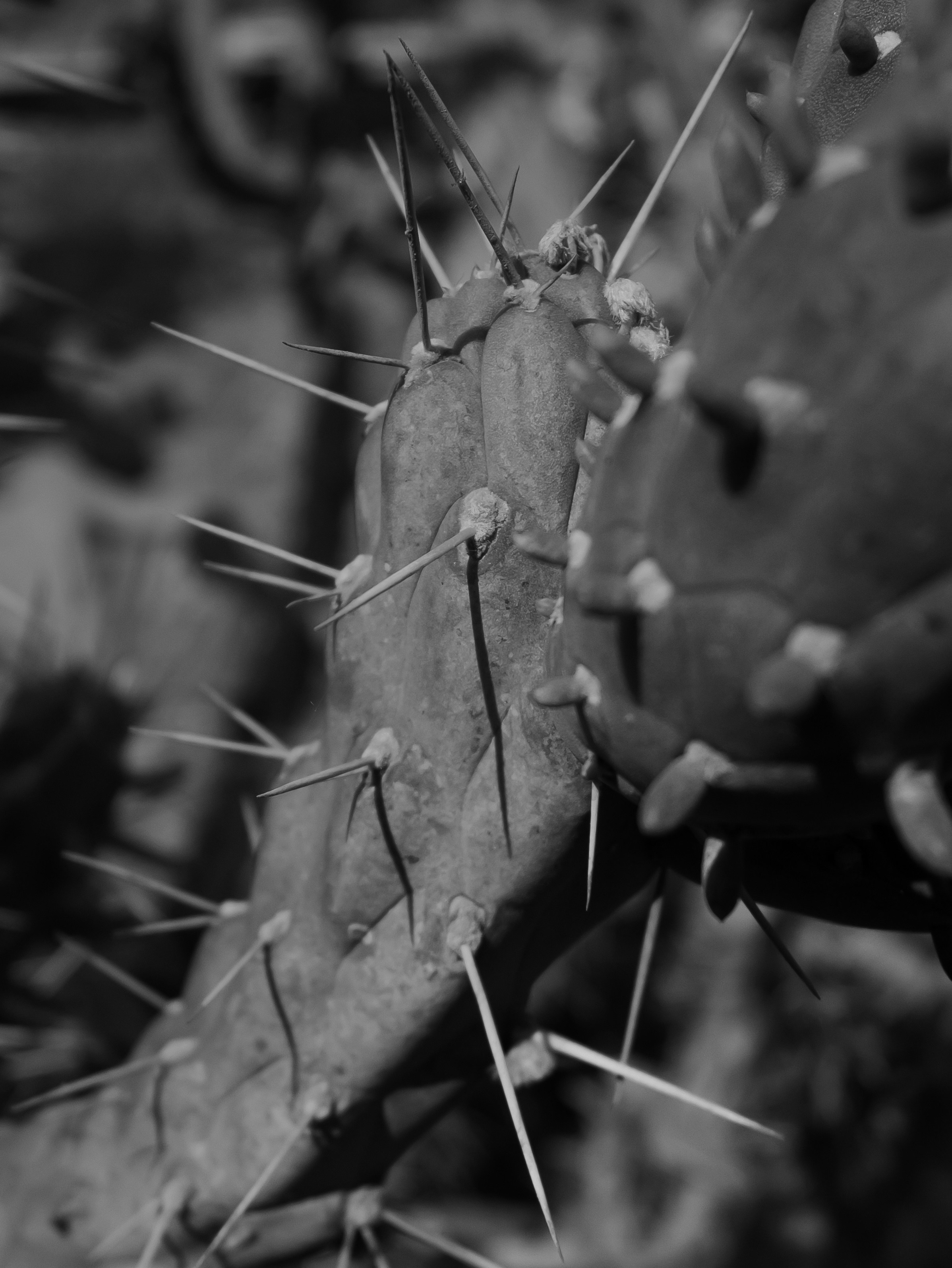 Photo by Malama Mushitu with Panasonic Lumix GX80