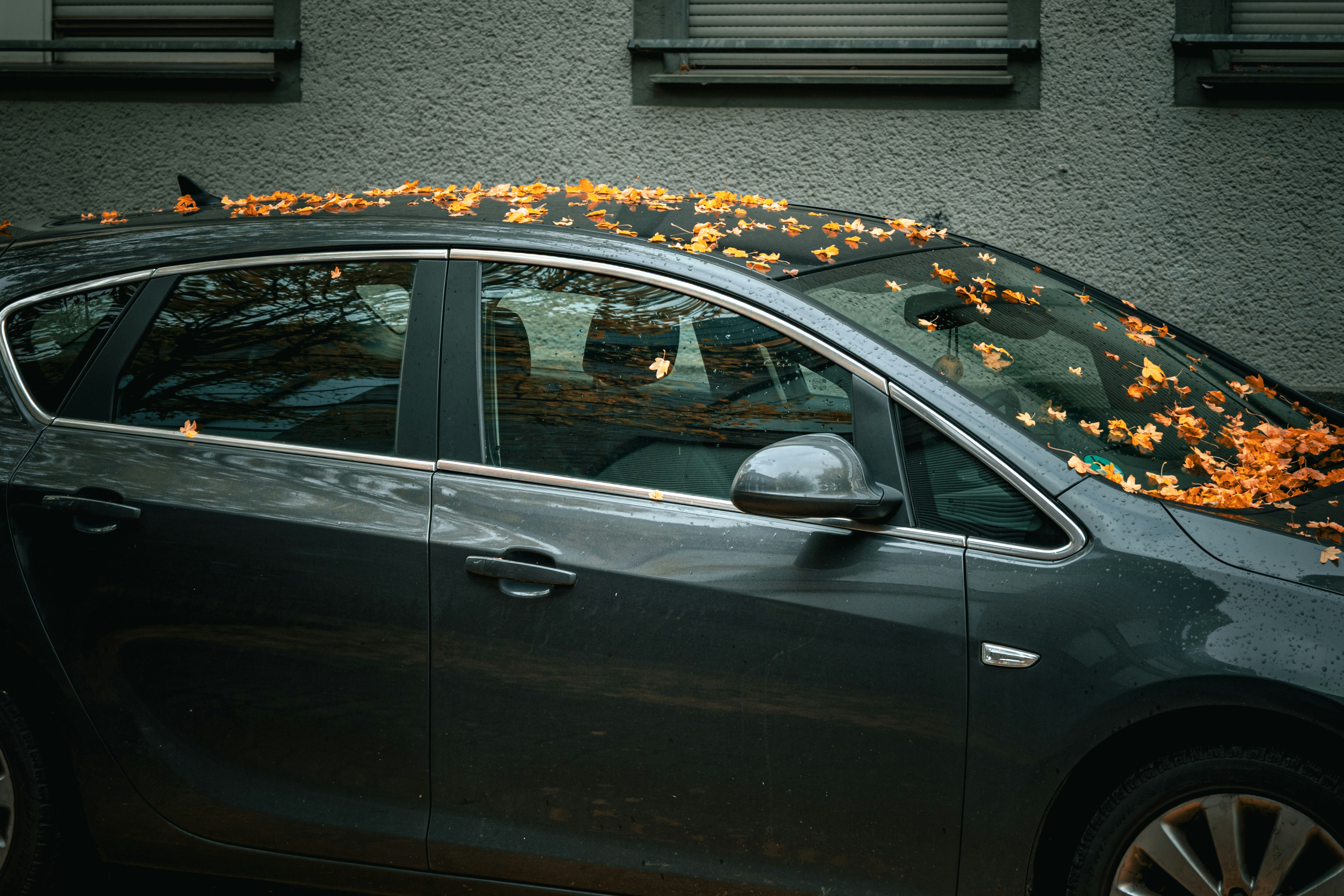 Autumn Veil on a Parked Sedan by a Textured Wall