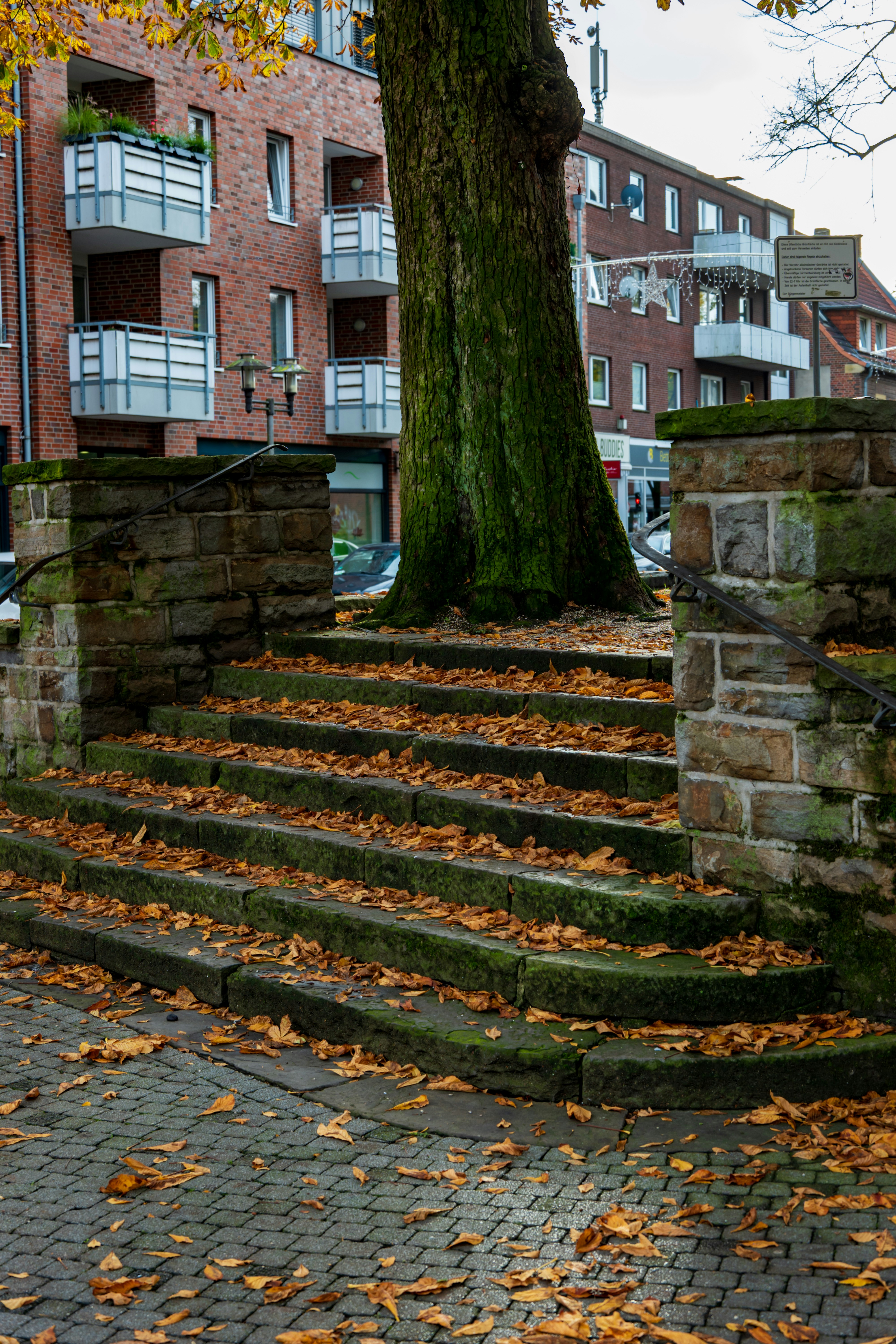Autumn Steps Through Time