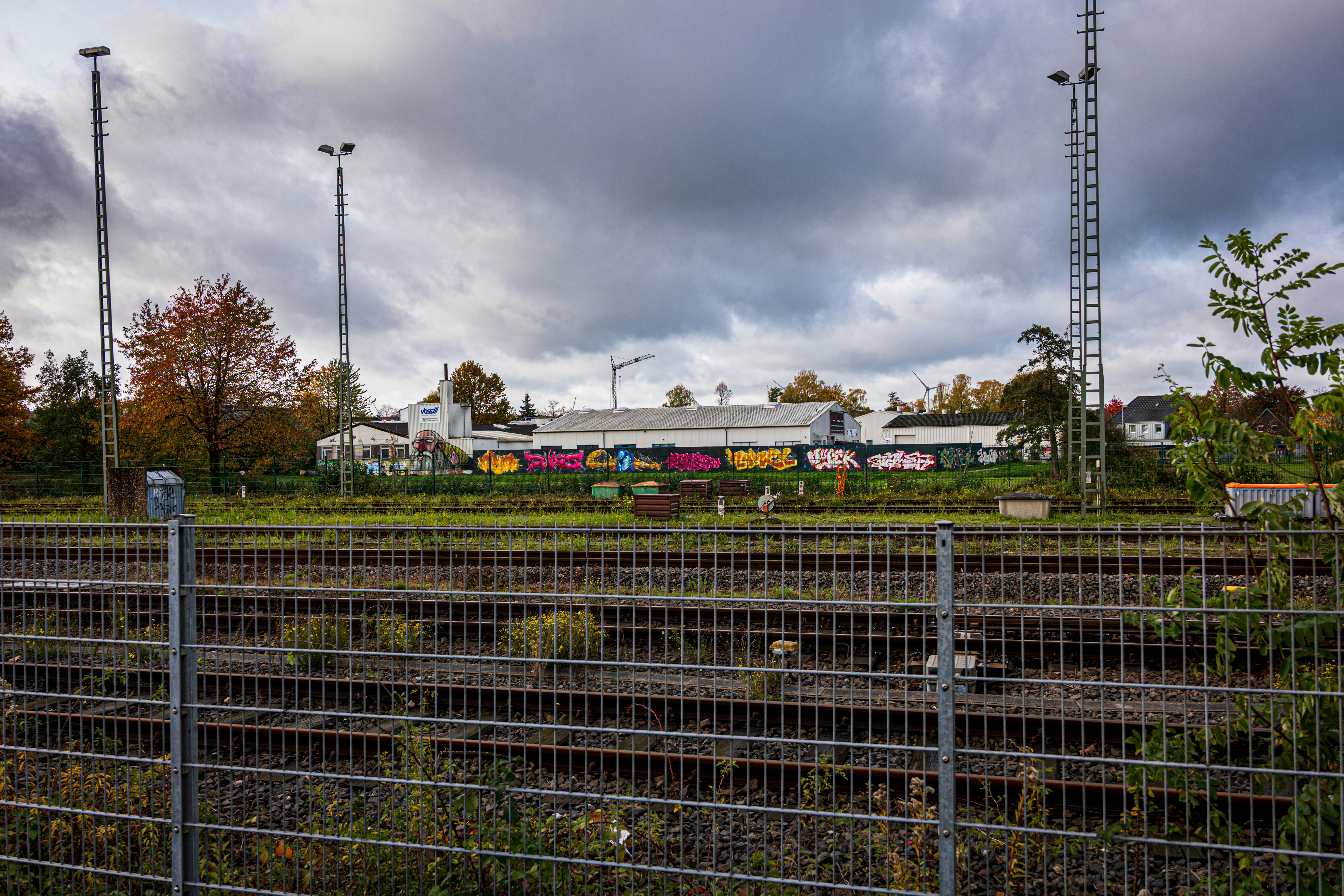 Urban Canvas: The Vibrancy of Graffiti Amidst Nature