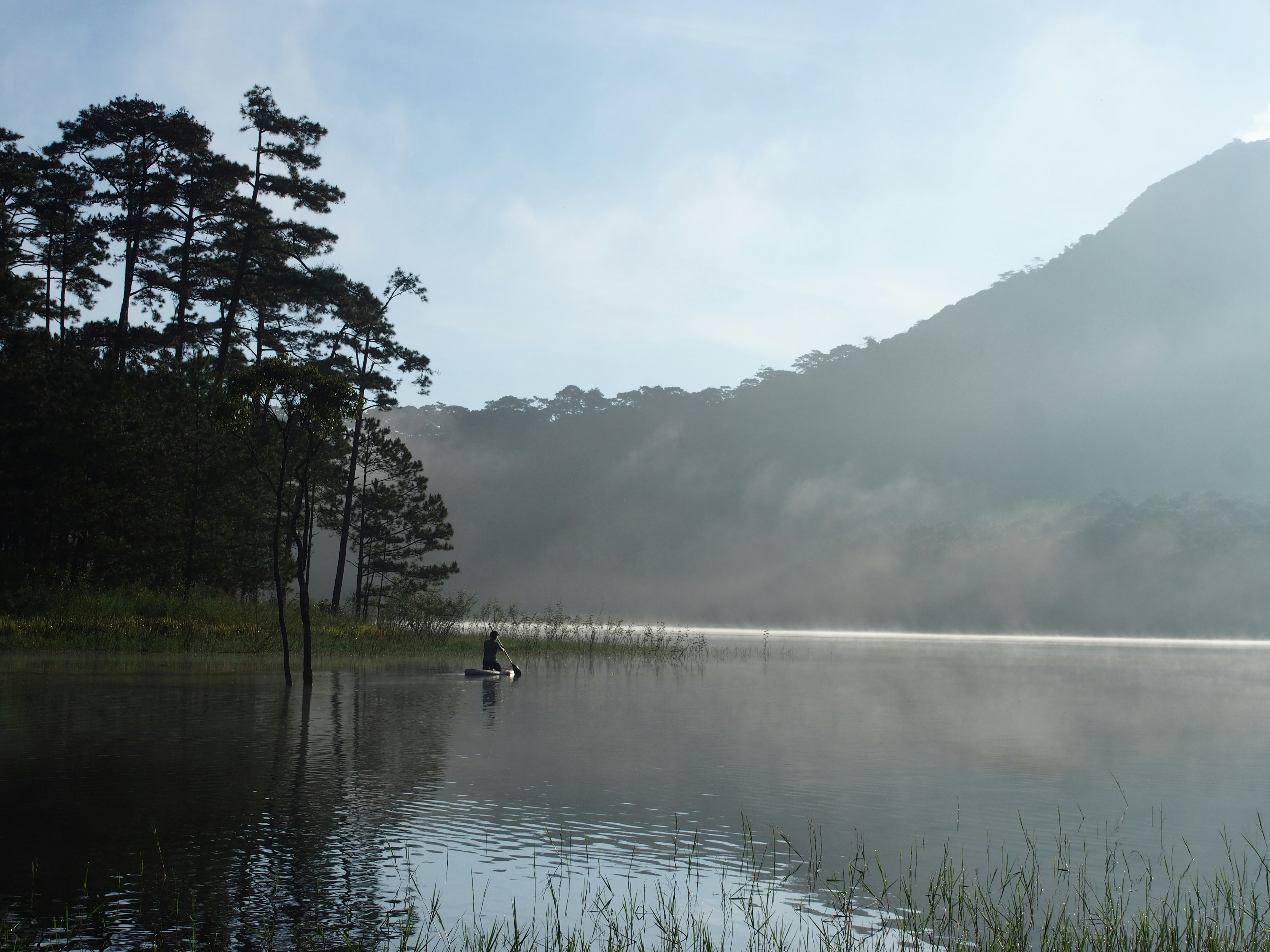 A lone figure in a small boat glides across a misty lake surrounded by tall trees and mountains, evoking tranquility and solitude.