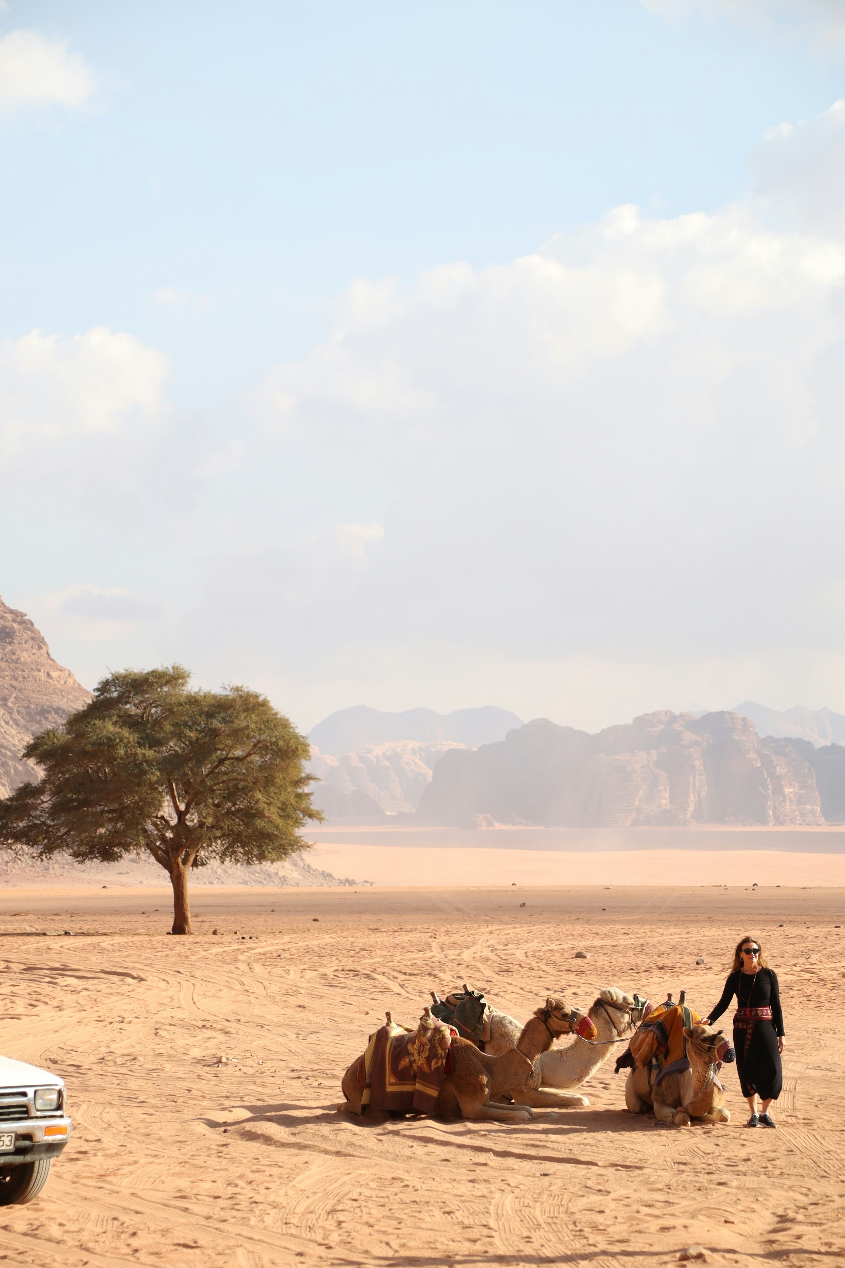 A woman stands beside a group of resting camels under a lone tree in a vast desert landscape, with distant mountains framing the horizon.