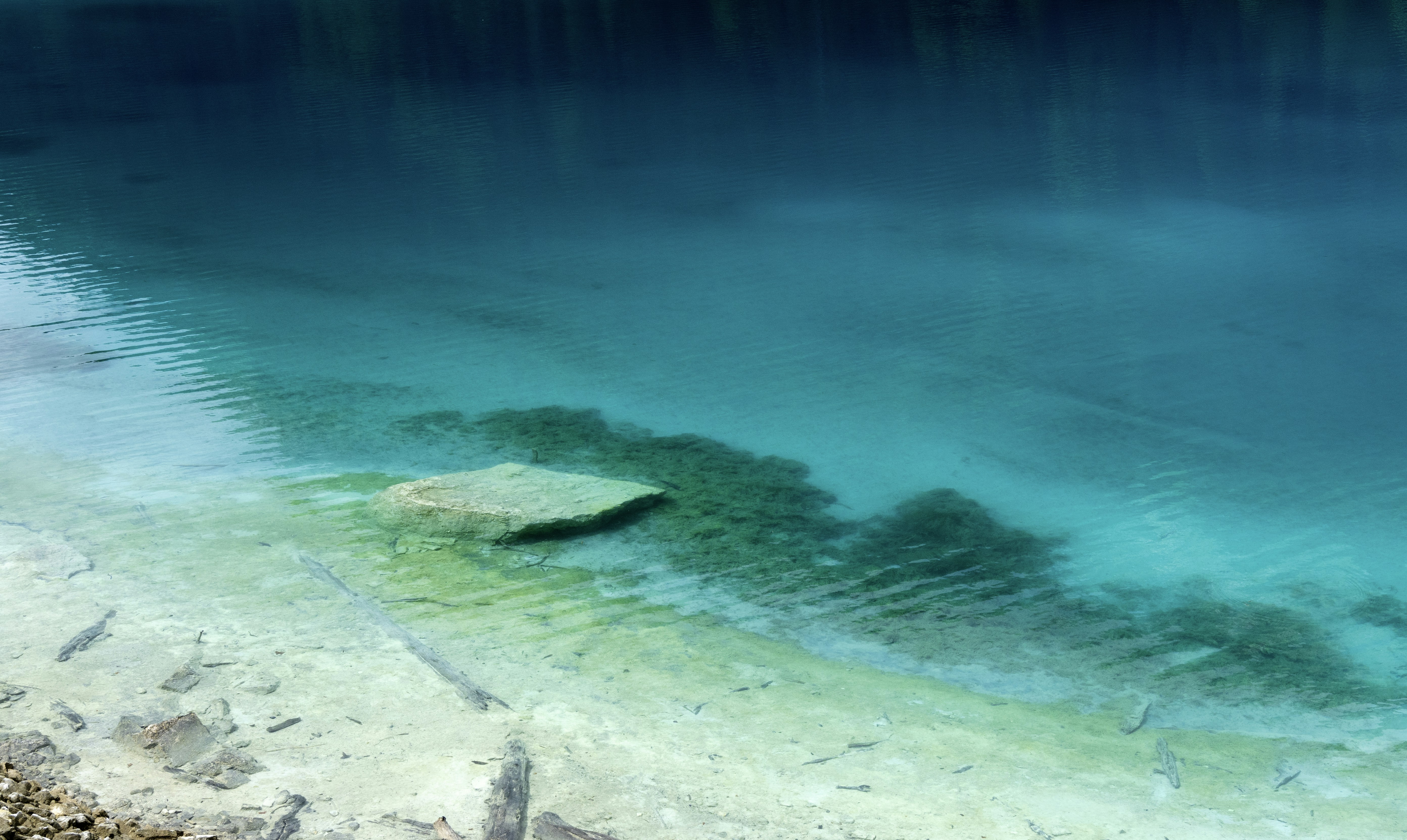 Crystal clear water revealing a submerged stone and aquatic life near the shore of a tranquil lake.
