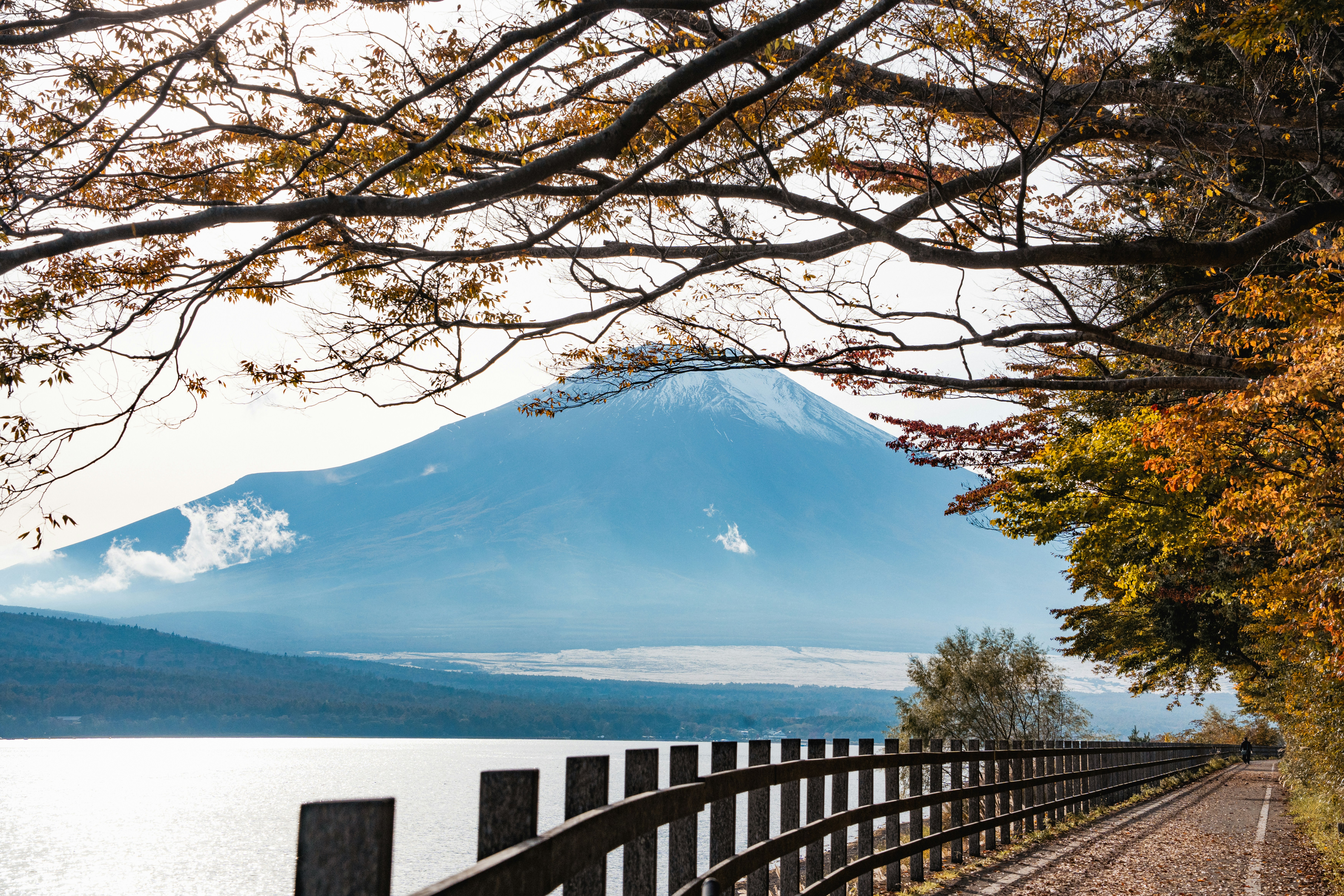 Autumn Rails Framing a Distant Snow-Capped Peak