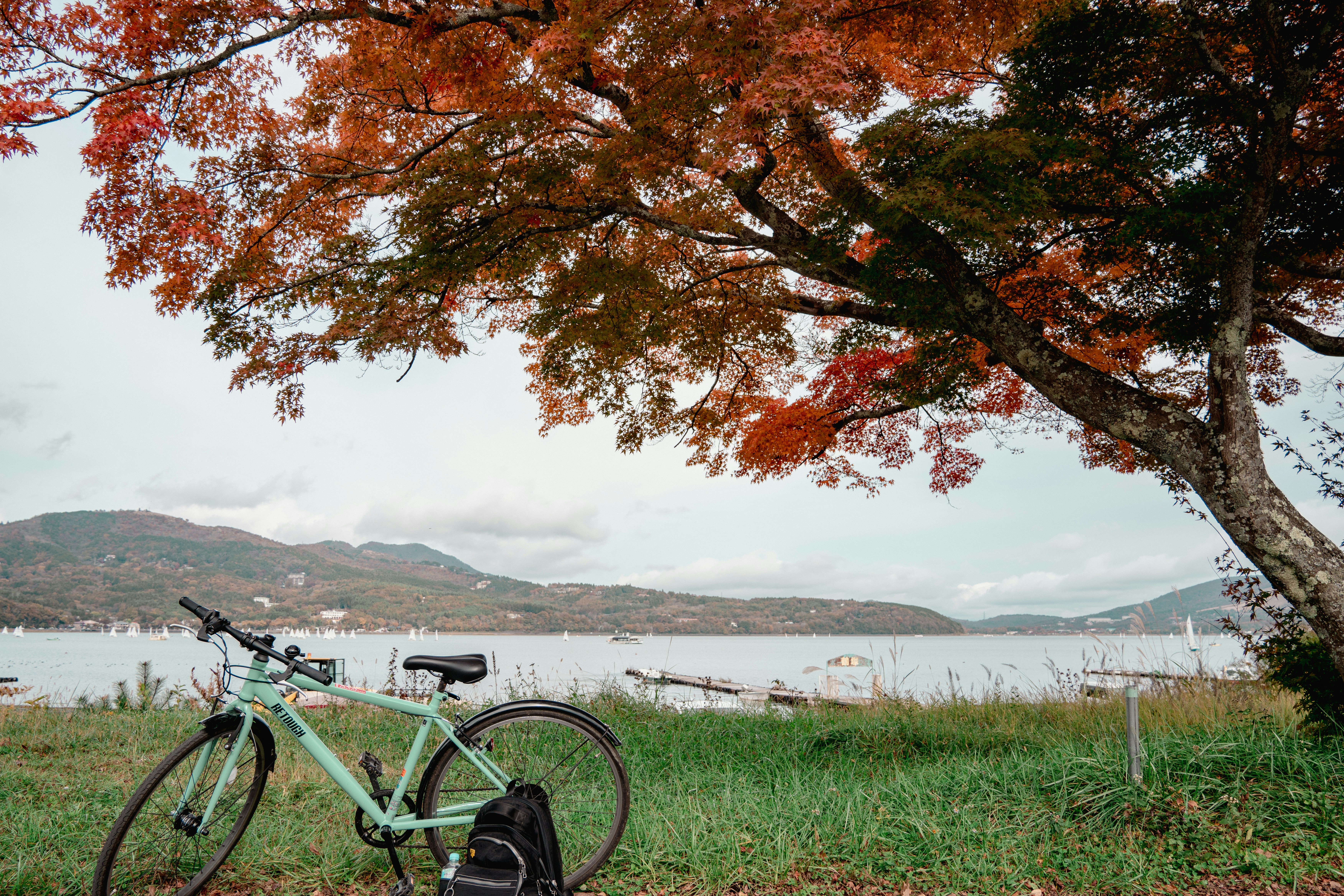Cyan Bicycle Under a Copper Canopy Over a Quiet Lake
