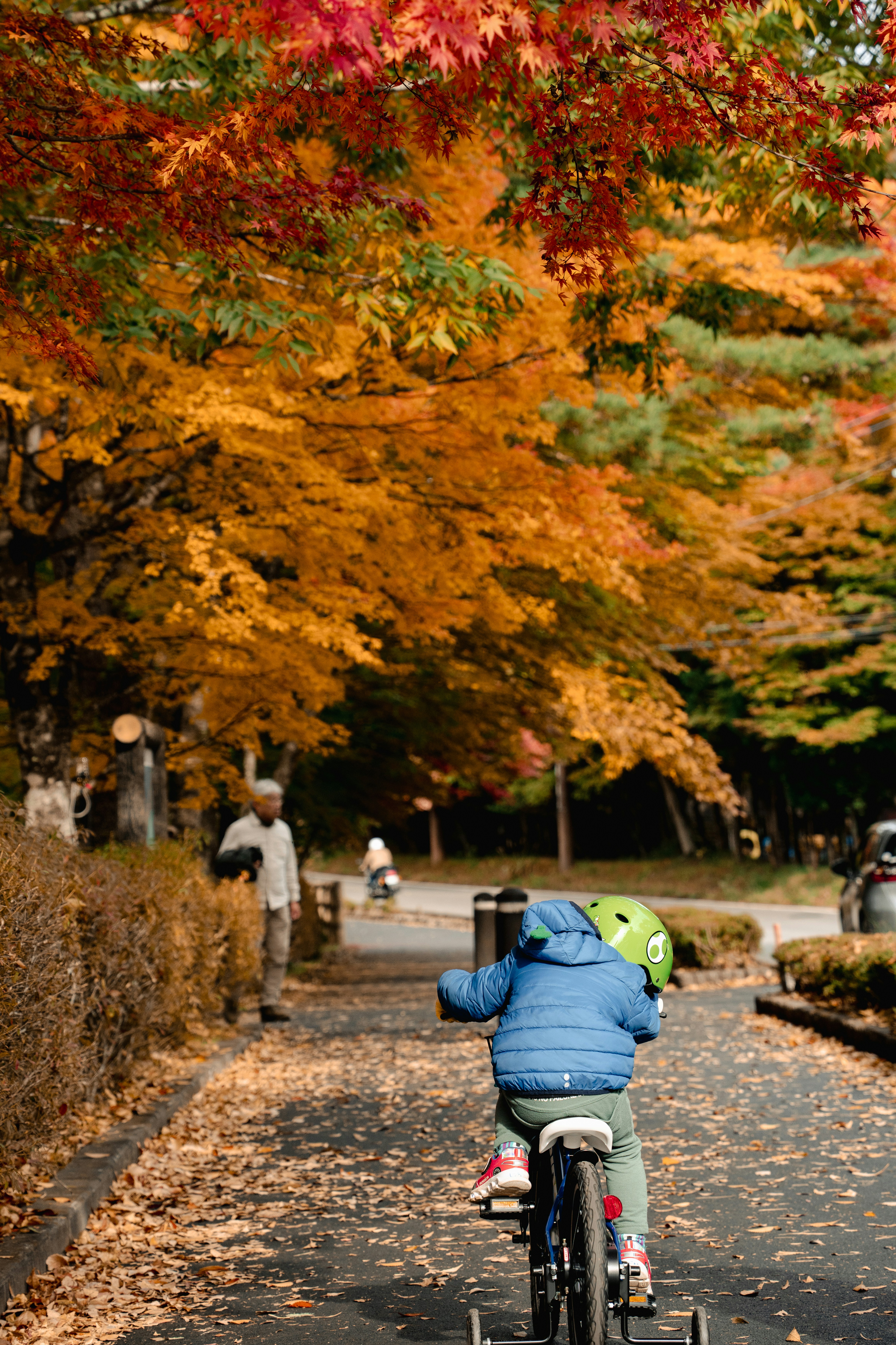 Autumn Ride: Back View on a Leaf-Painted Park Path