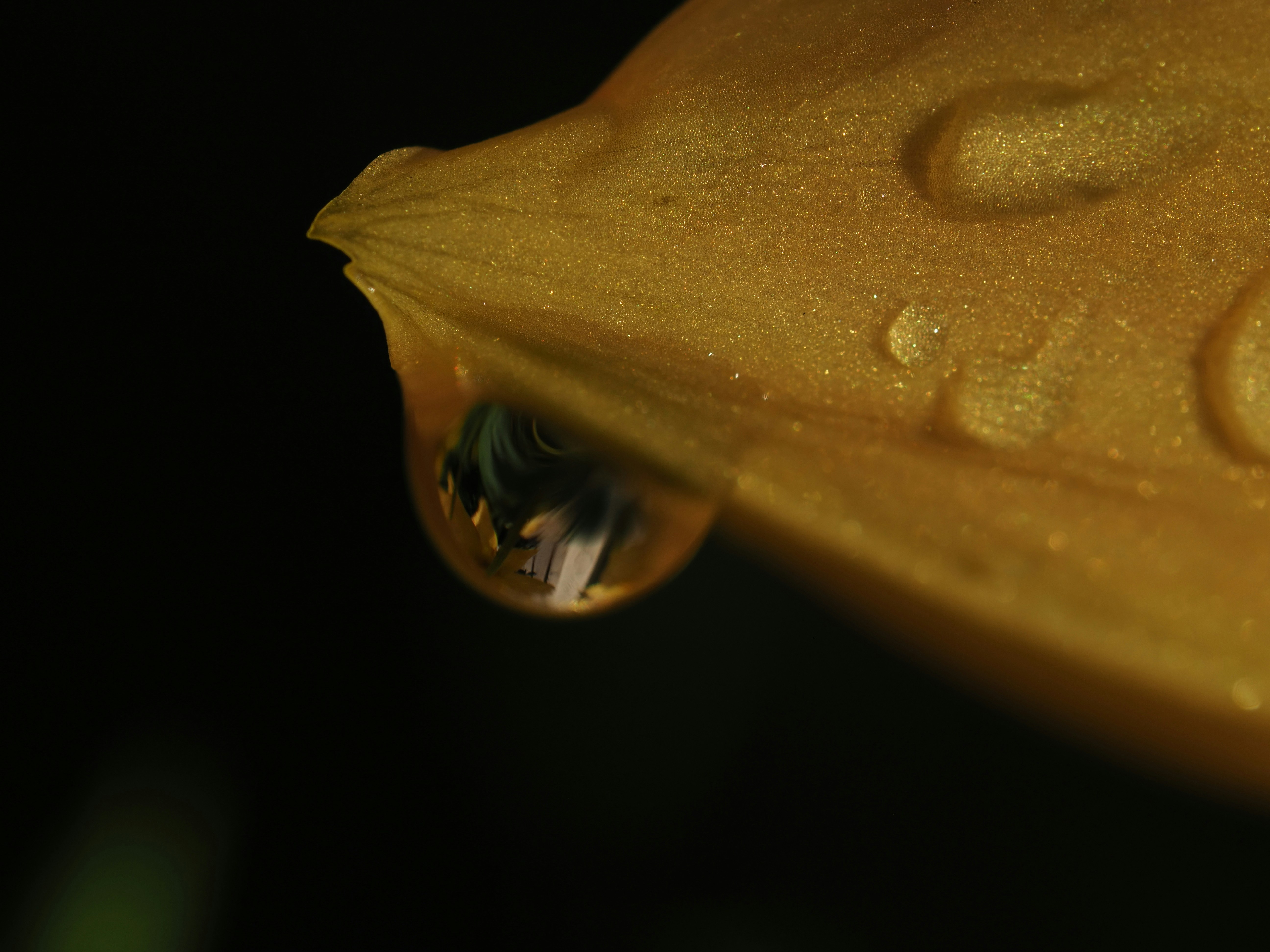 Macro shot of a water droplet clinging to a yellow leaf, reflecting the surrounding environment. The intricate details of the leaf's texture are highlighted against a dark background.