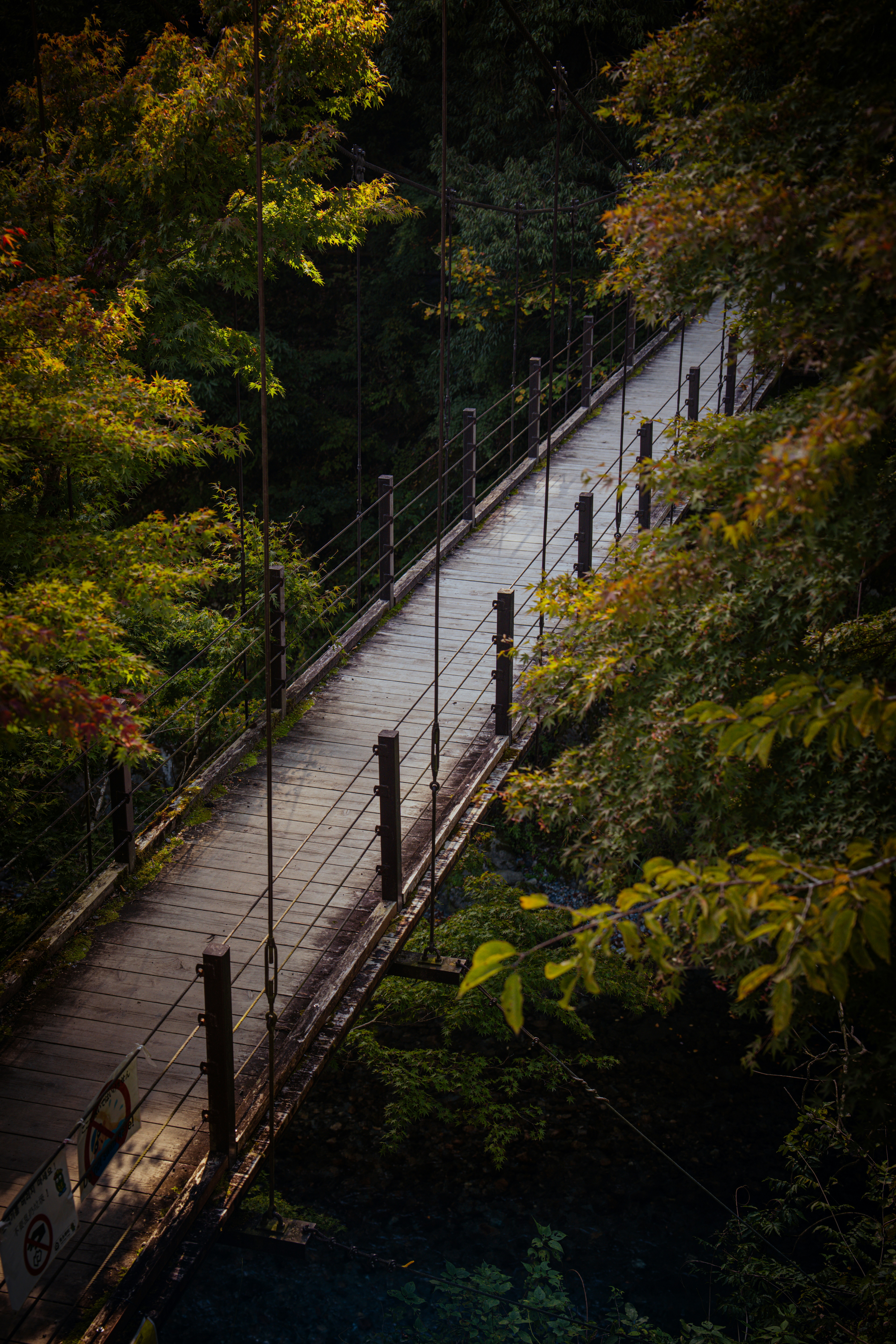 Suspended Serenity: The Bridge of Tranquil Crossings