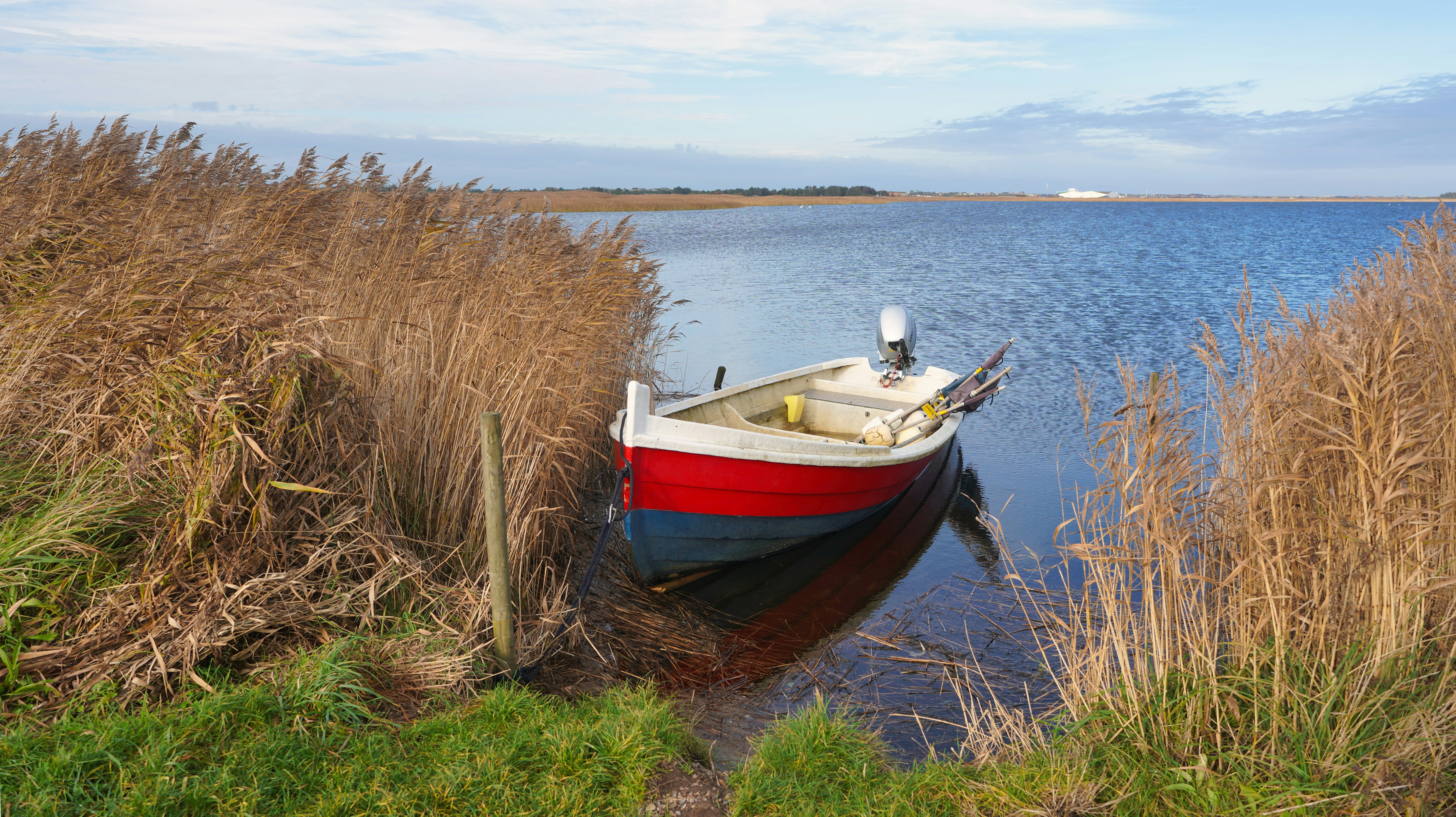 Serenity at the Water's Edge