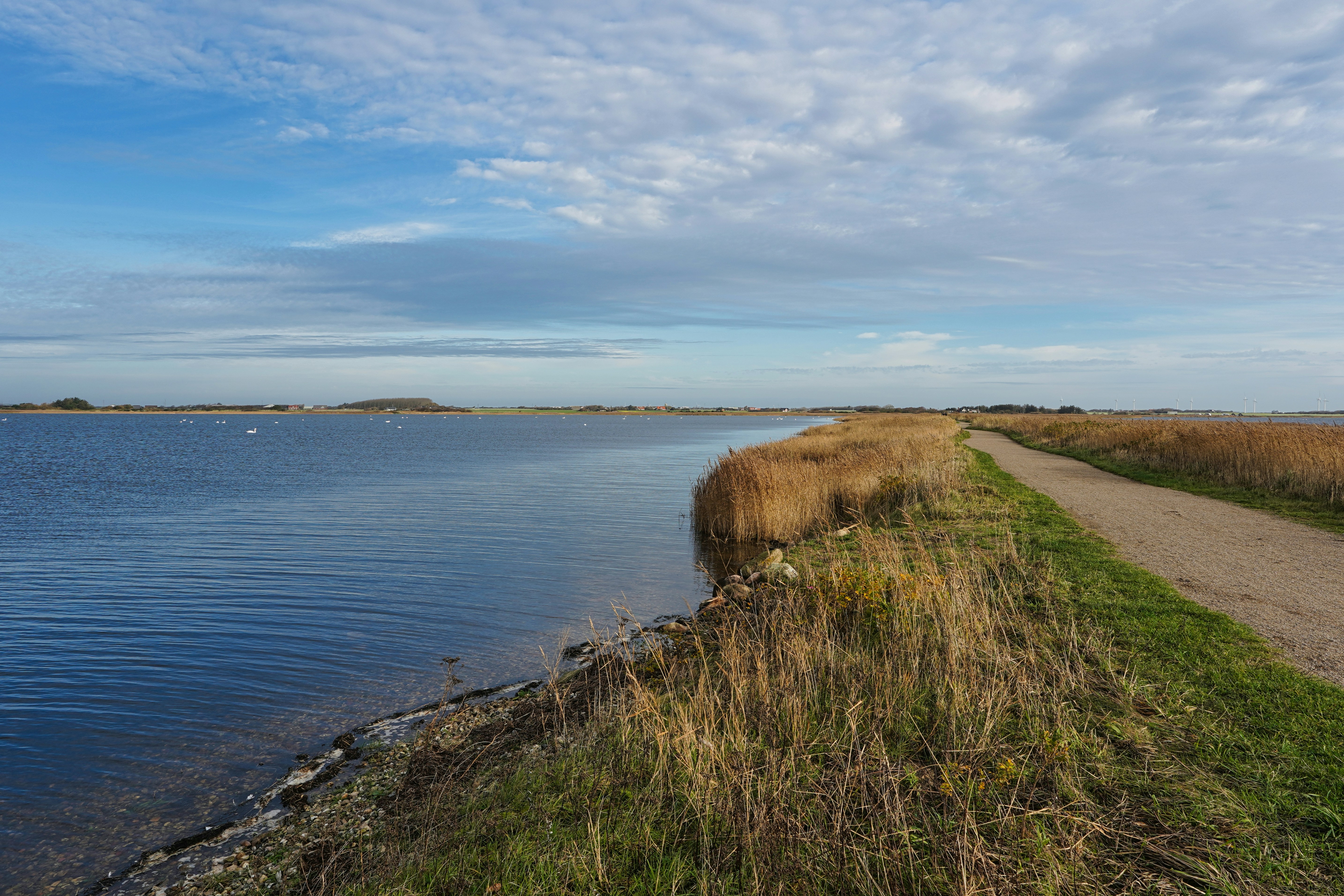 Serenity by the Water's Edge