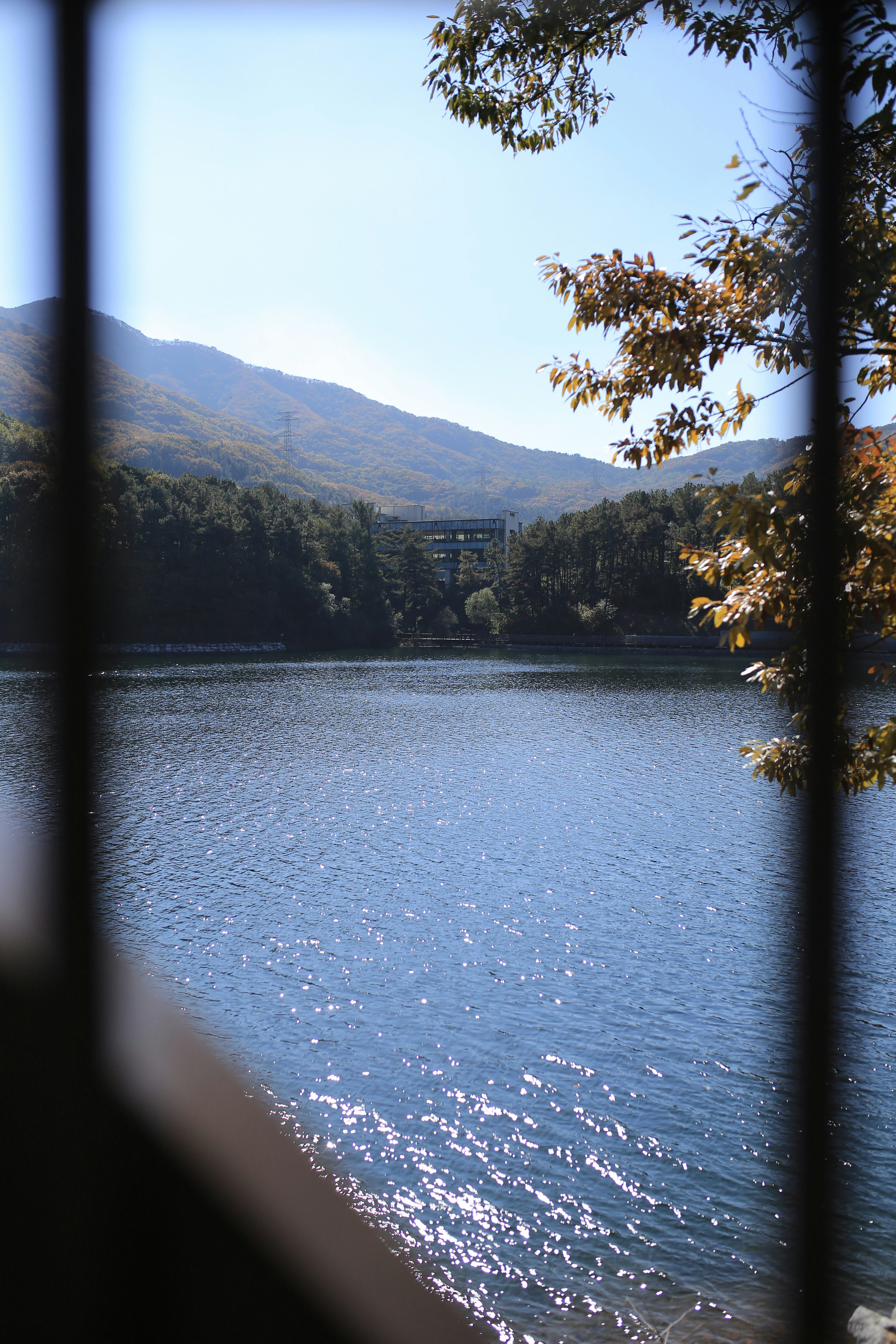 Lakeside view framed by tree branches, showcasing gentle ripples on the water's surface and distant mountains under a clear sky.