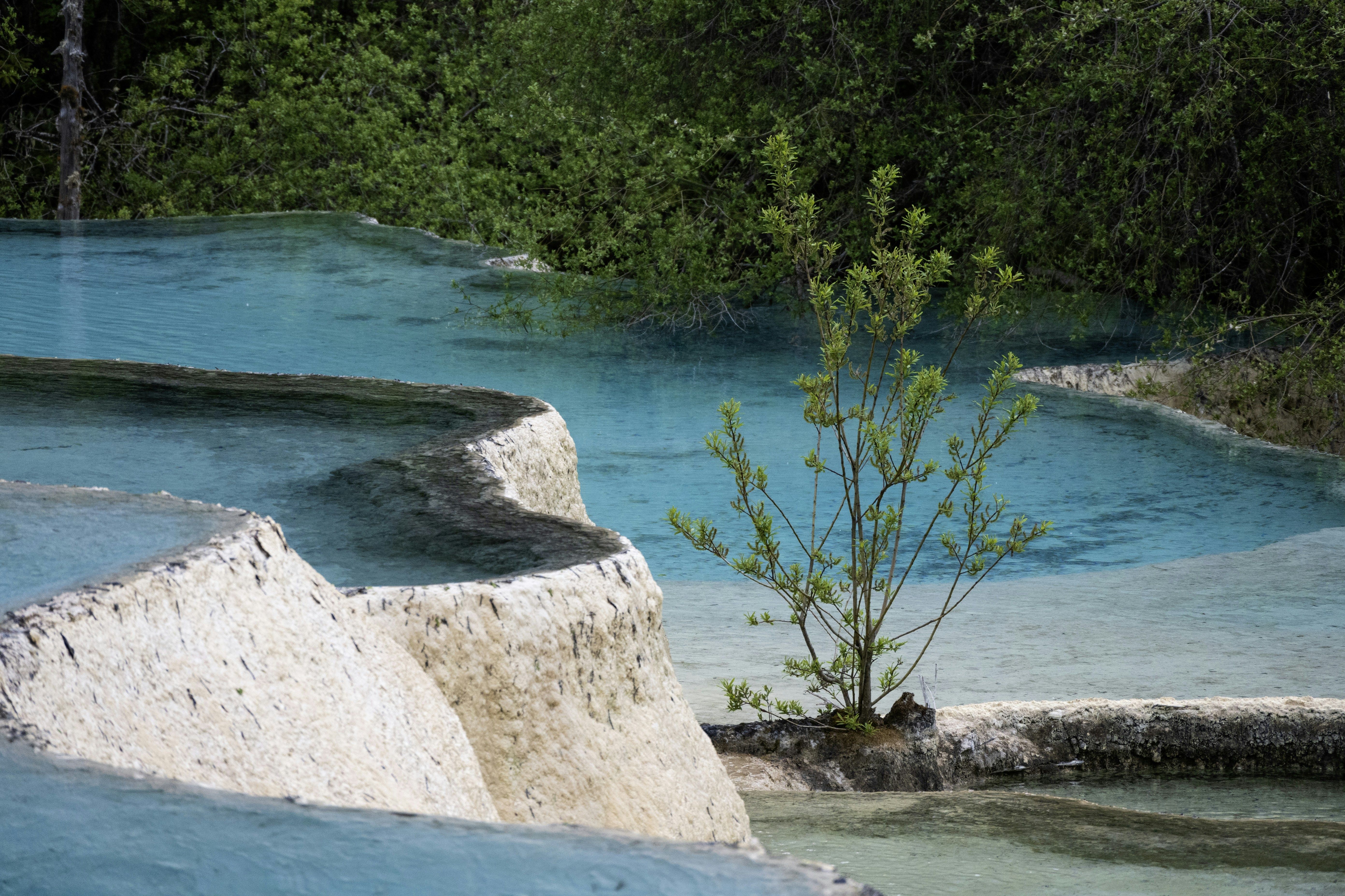 Las piscinas de color turquesa caen en cascada por una ladera con ...