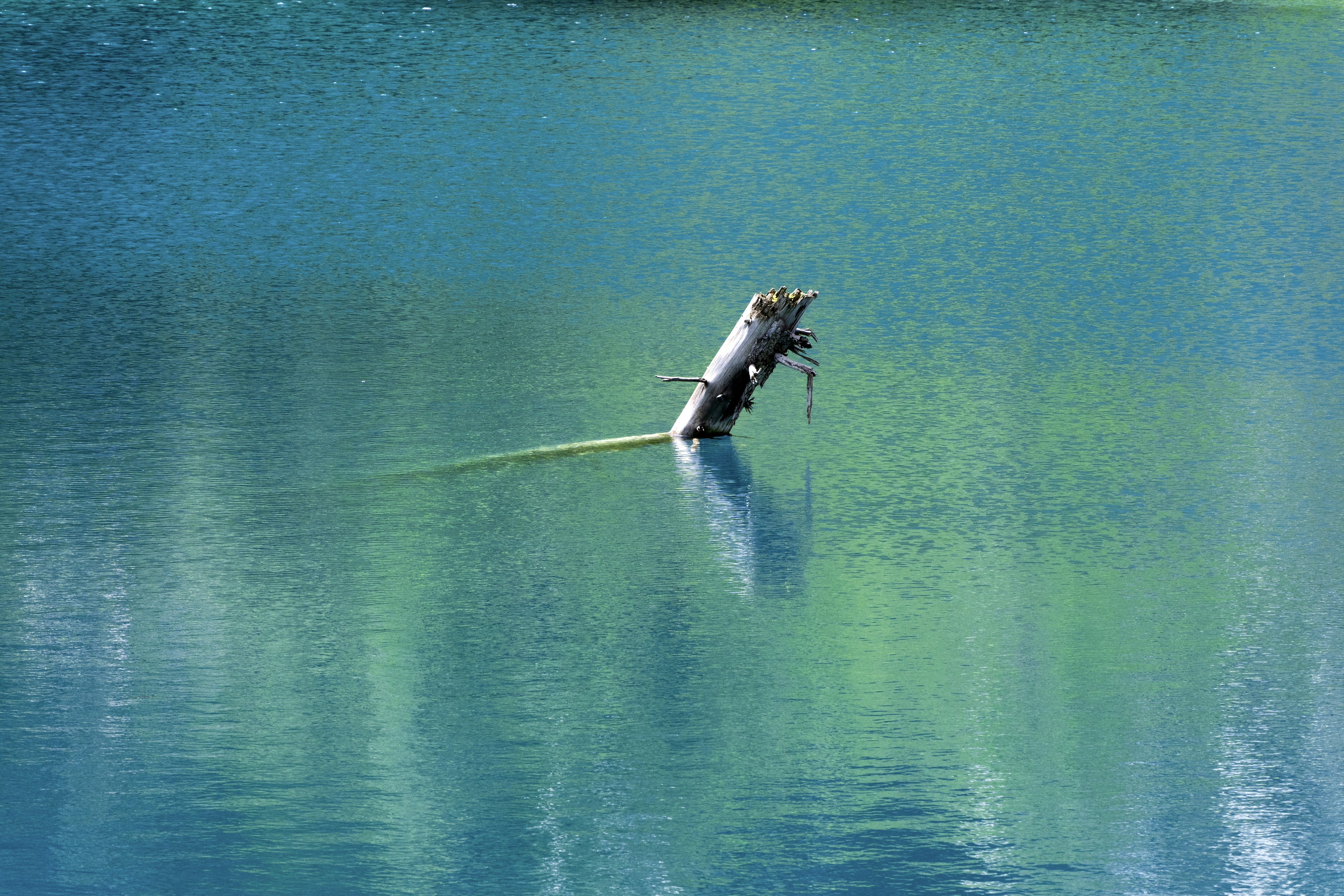 Emerald Quiet: A Weathered Log Pierces a Cyan Lake