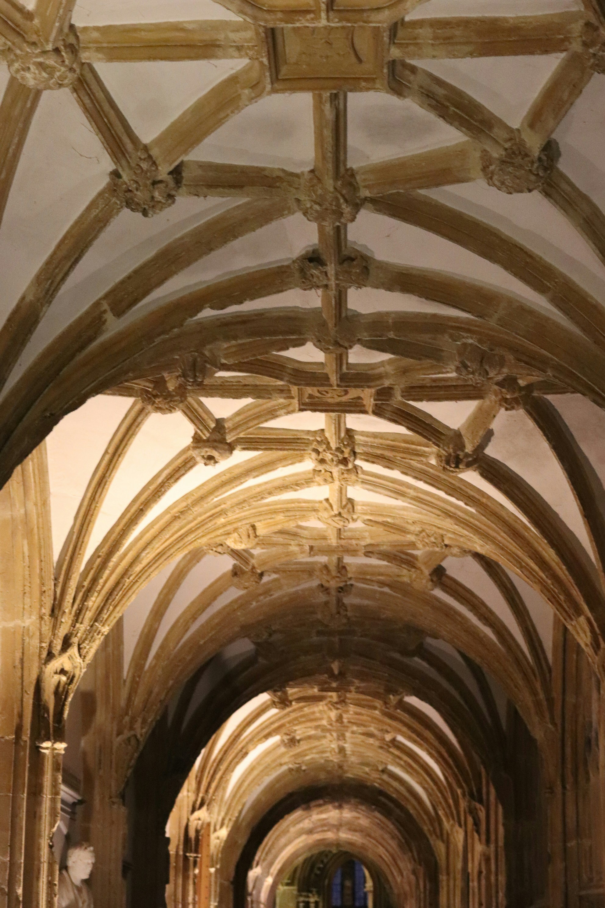 Photo by Tanya Barrow with Canon EOS 77D