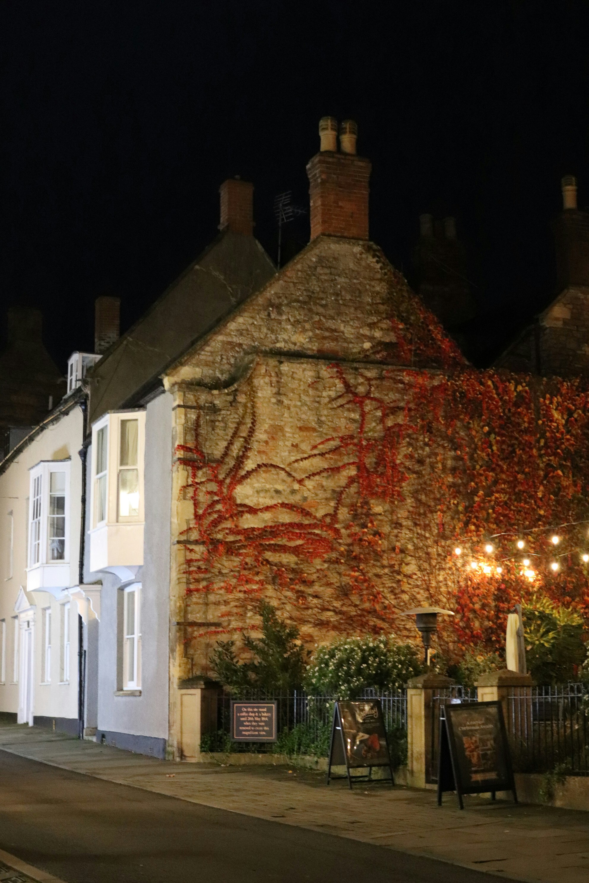 Building facade with red ivy and string lights at night photo – Free ...