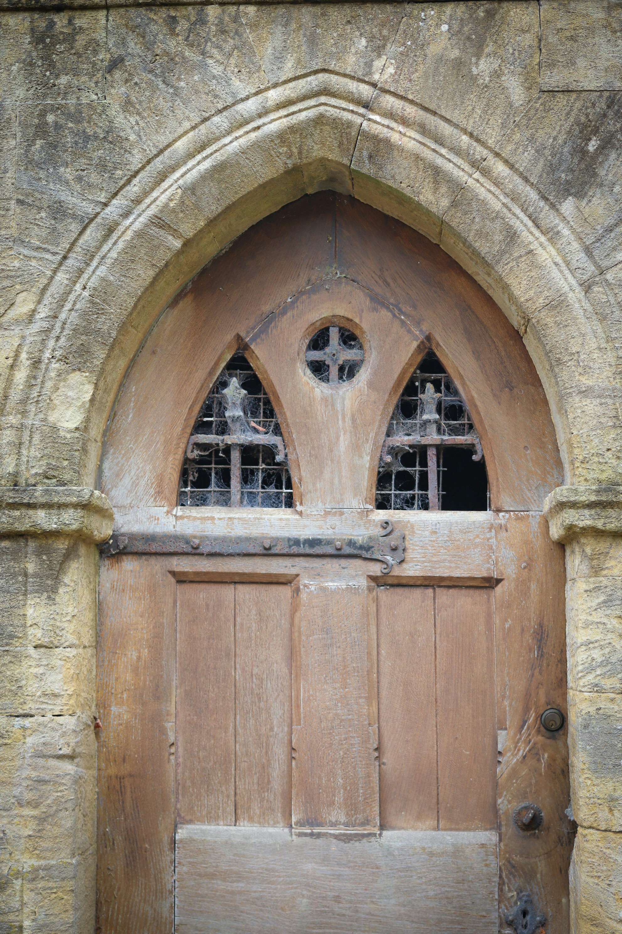 Photo by Tanya Barrow with Canon EOS 77D