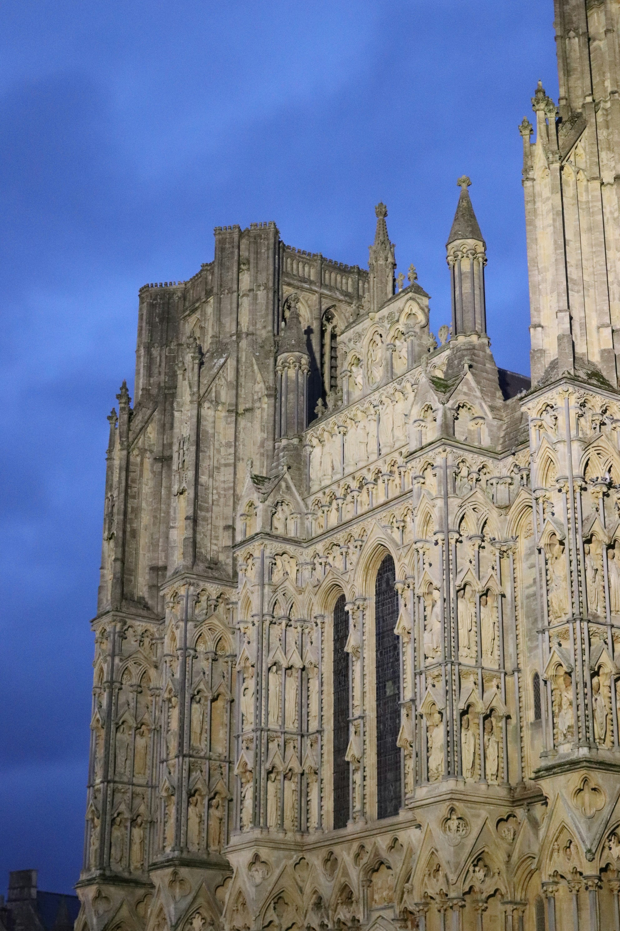 Intricate Gothic architecture of a cathedral illuminated against a deep blue twilight sky.