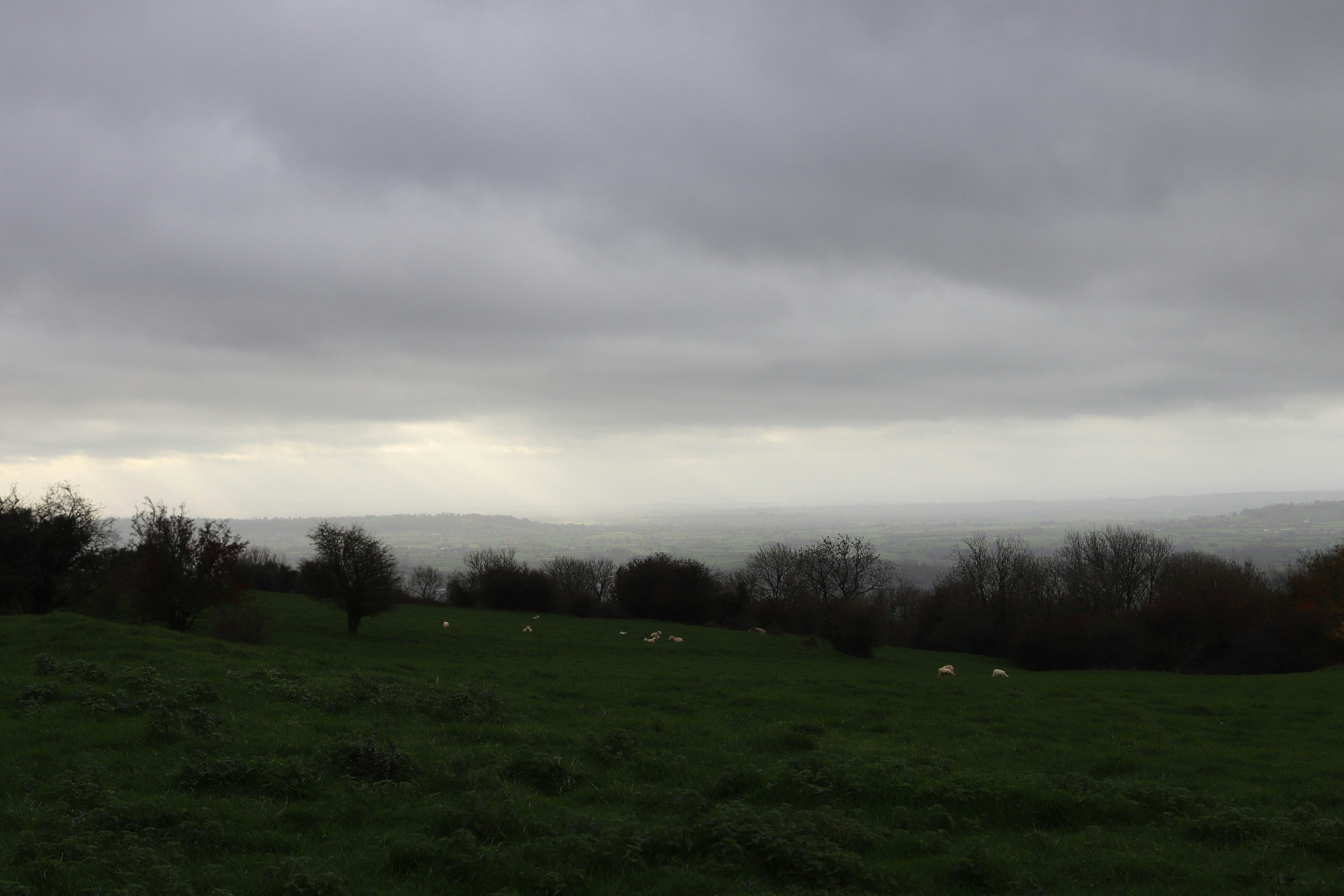 Photo by Tanya Barrow with Canon EOS 77D