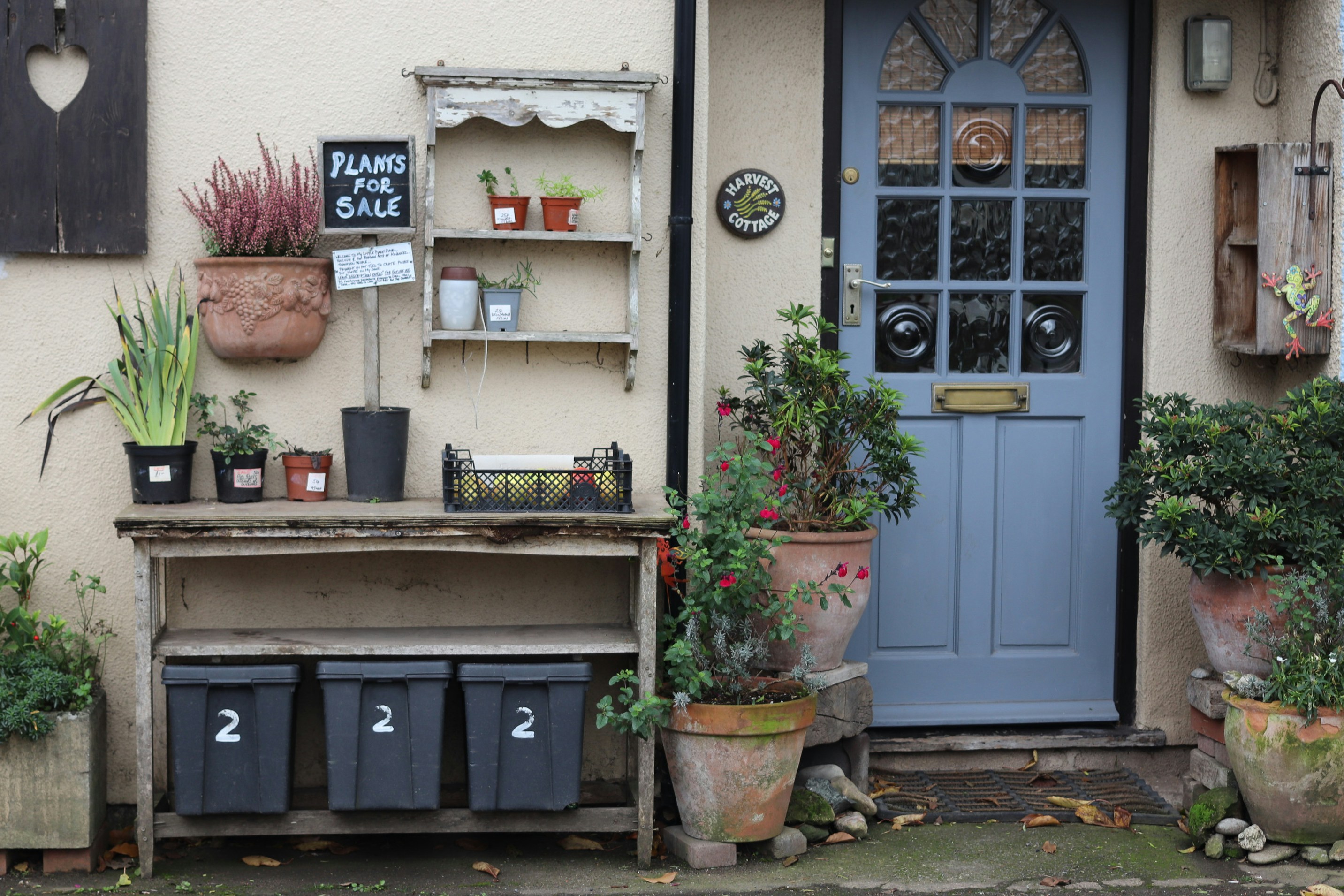 Charming Garden Bazaar: A Homely Touch