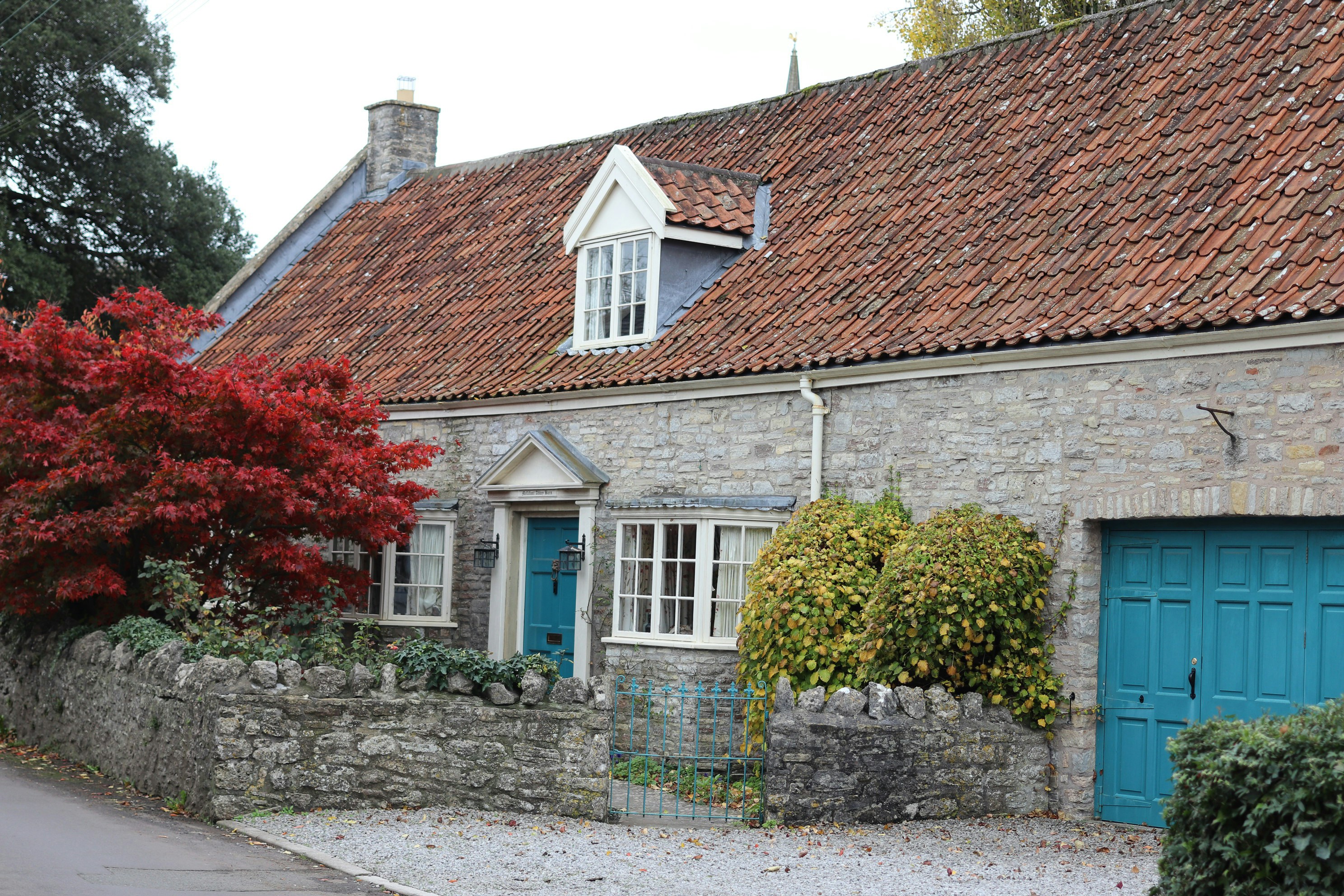 Photo by Tanya Barrow with Canon EOS 77D