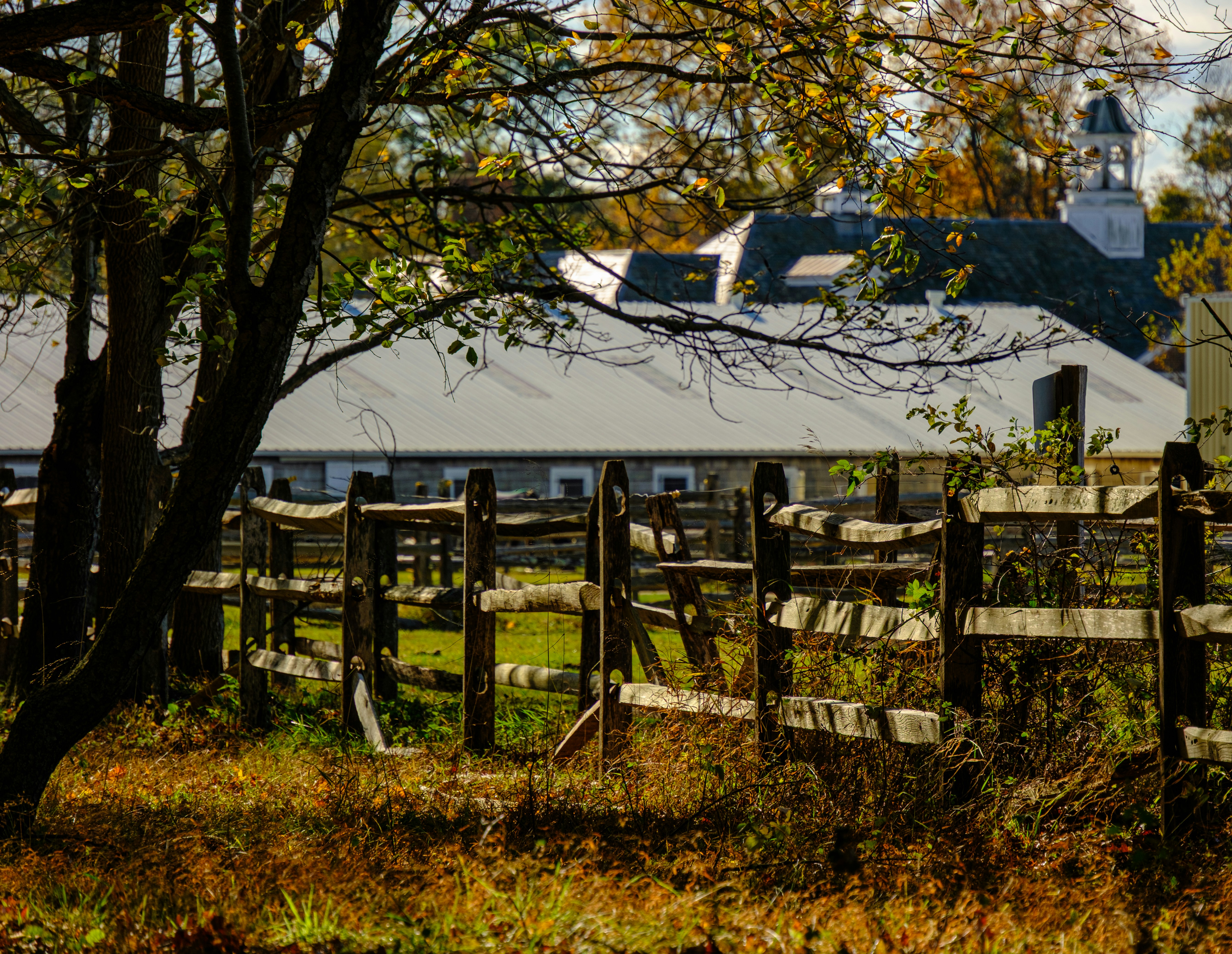 Sunlit Fence Framing a Quiet Farmstead Under Autumn Canopy